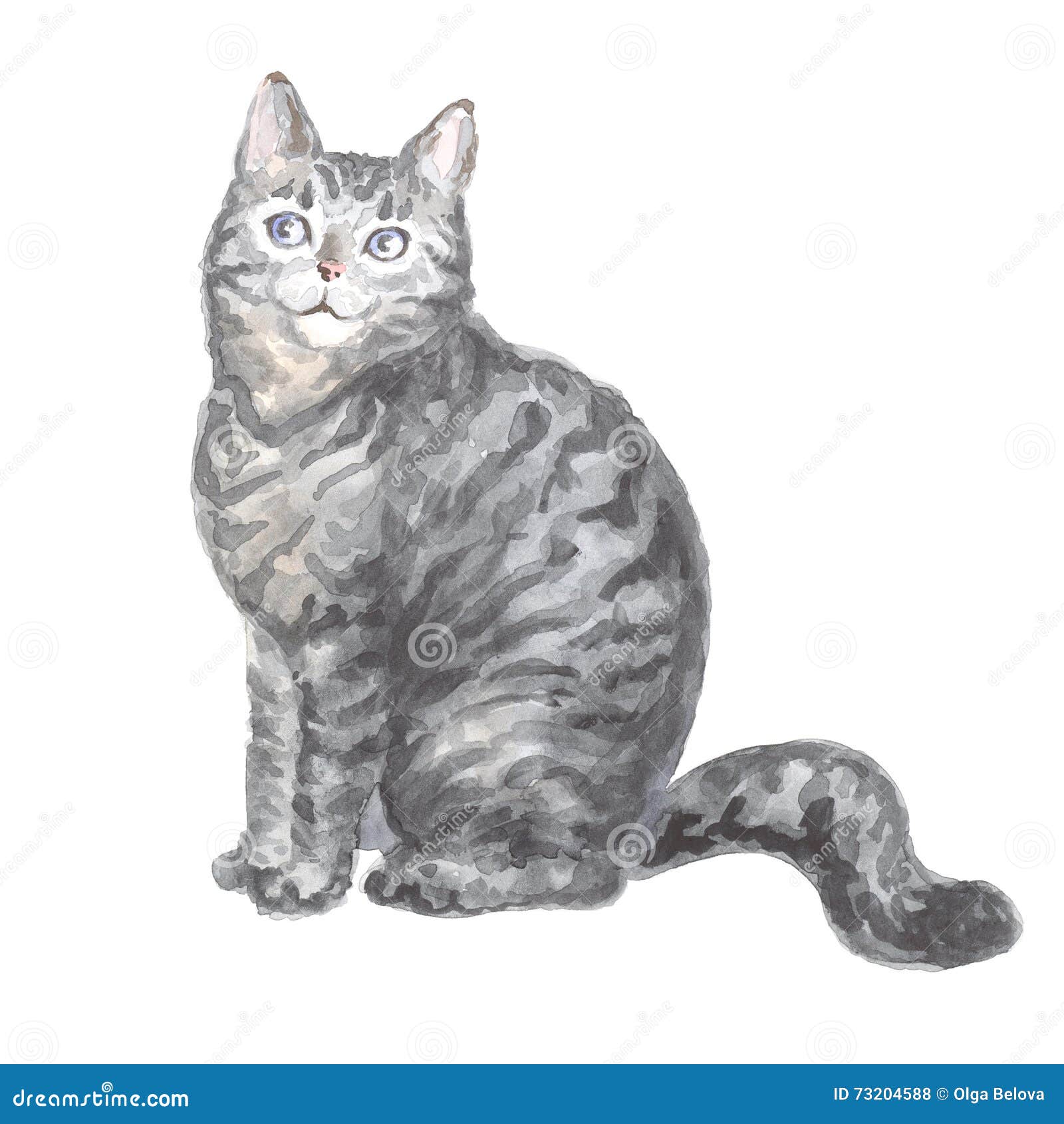 Sitting Tabby Cat Illustration, Drawing, Engraving, Ink, Line Art ...