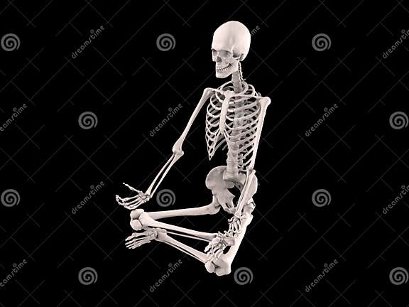 Sitting skeleton stock illustration. Illustration of health - 12499418