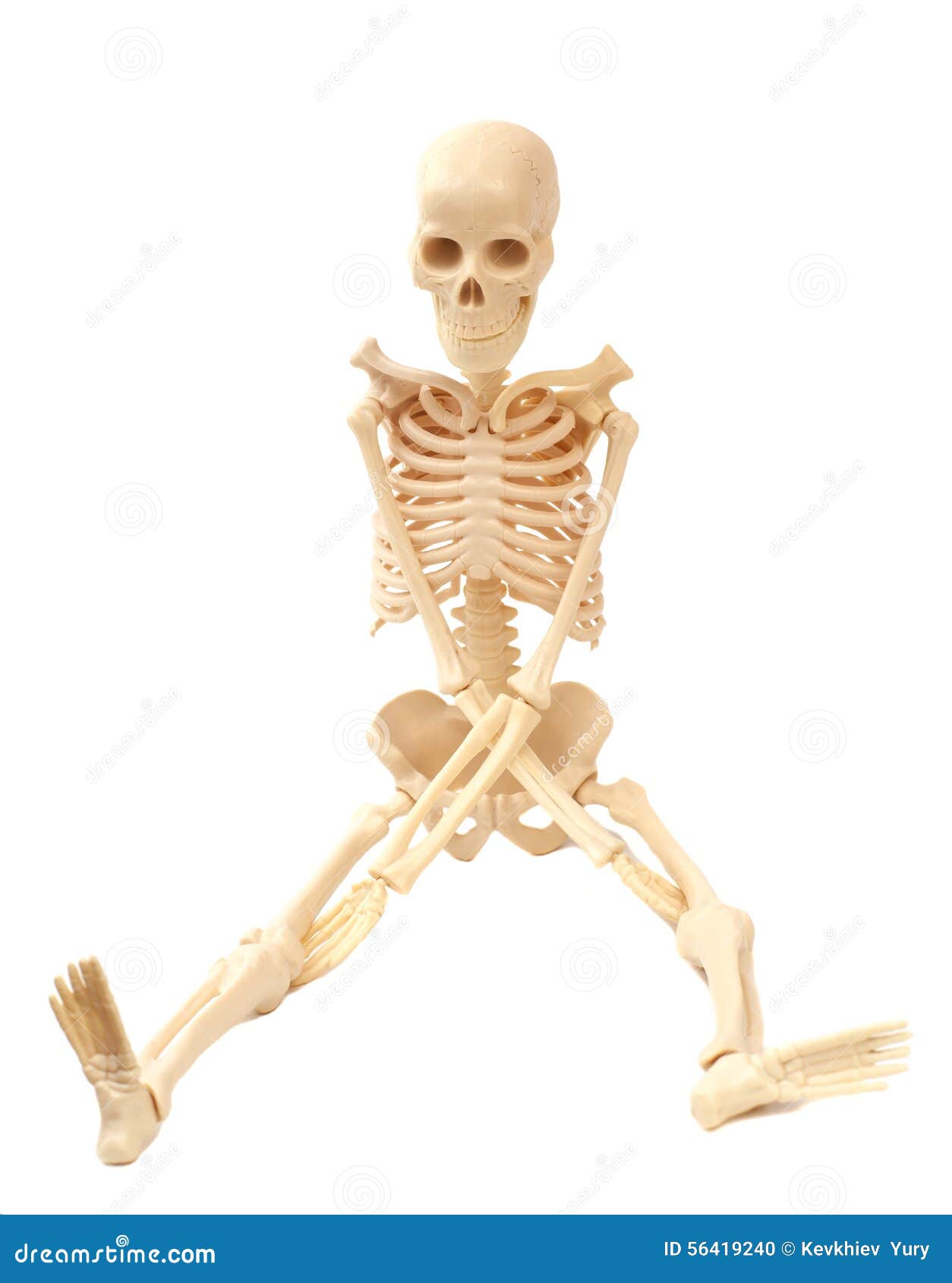 Sitting skeleton stock photo. Image of white, death, bones - 56419240