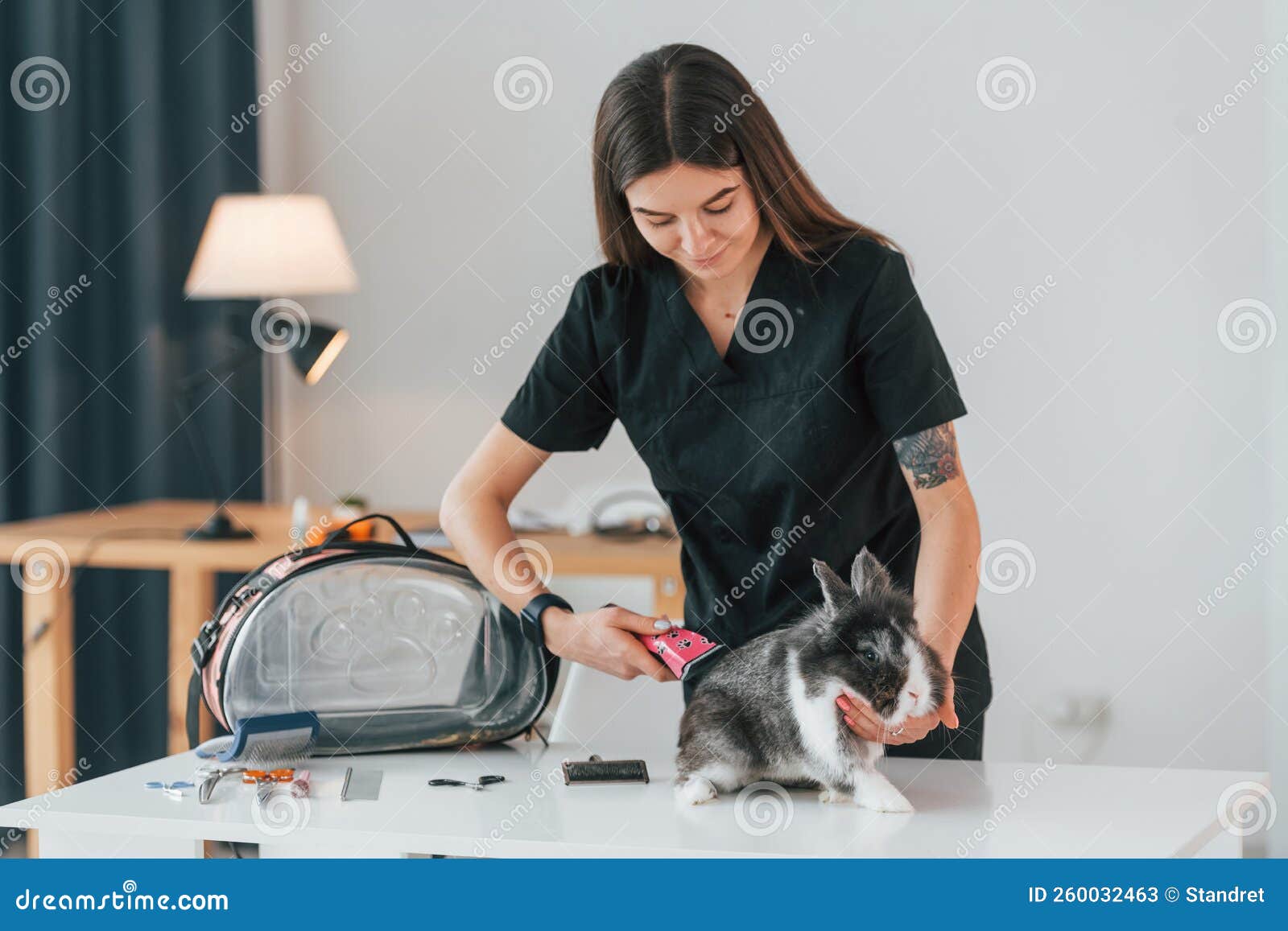 Sitting on the Table. Cute Little Rabbit is in the Grooming Studio ...
