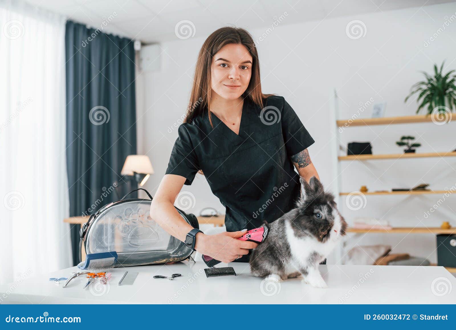 Sitting on the Table. Cute Little Rabbit is in the Grooming Studio ...