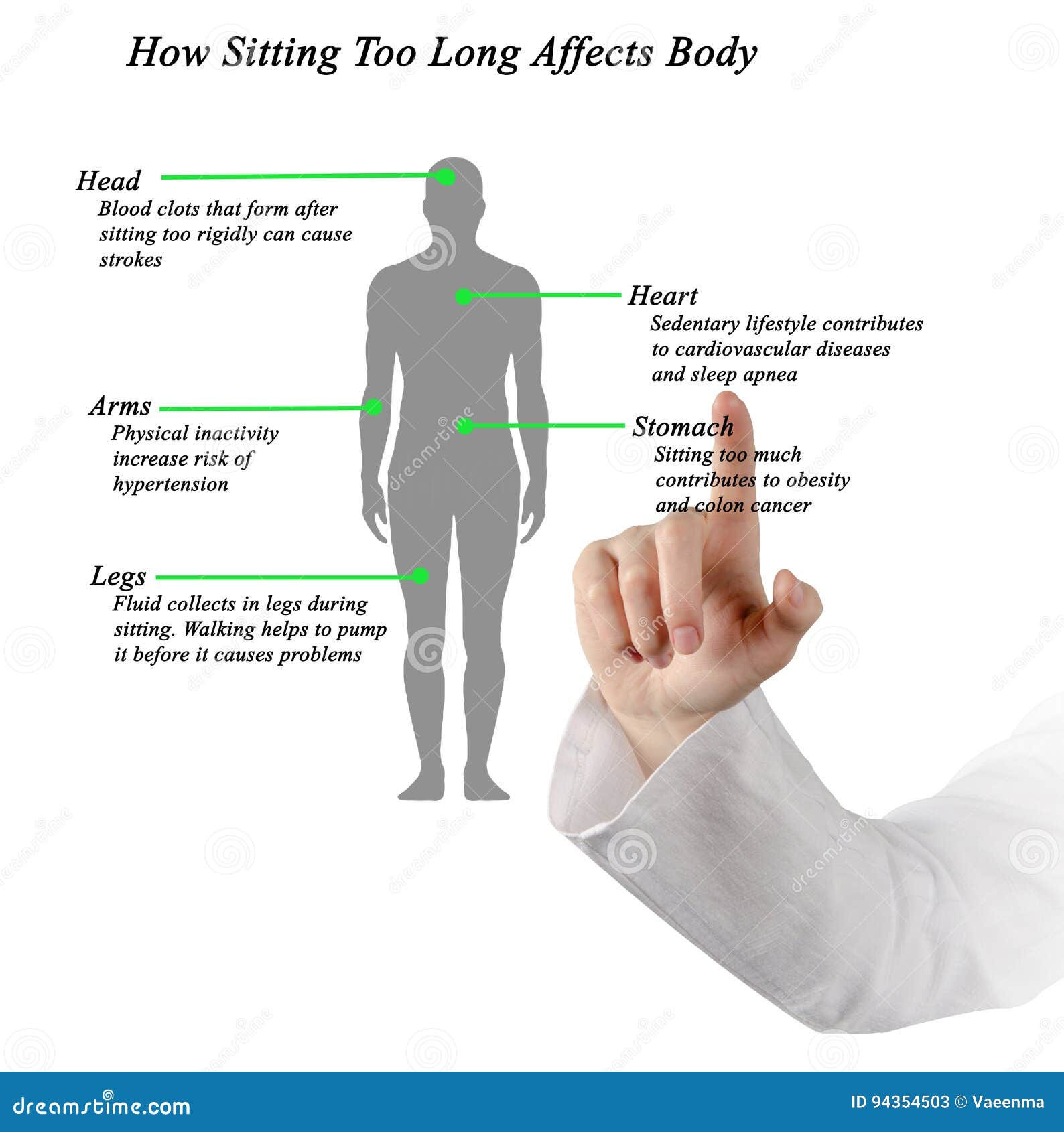 Sitting Too Long Affects Body Stock Image - Image of body, medicine ...