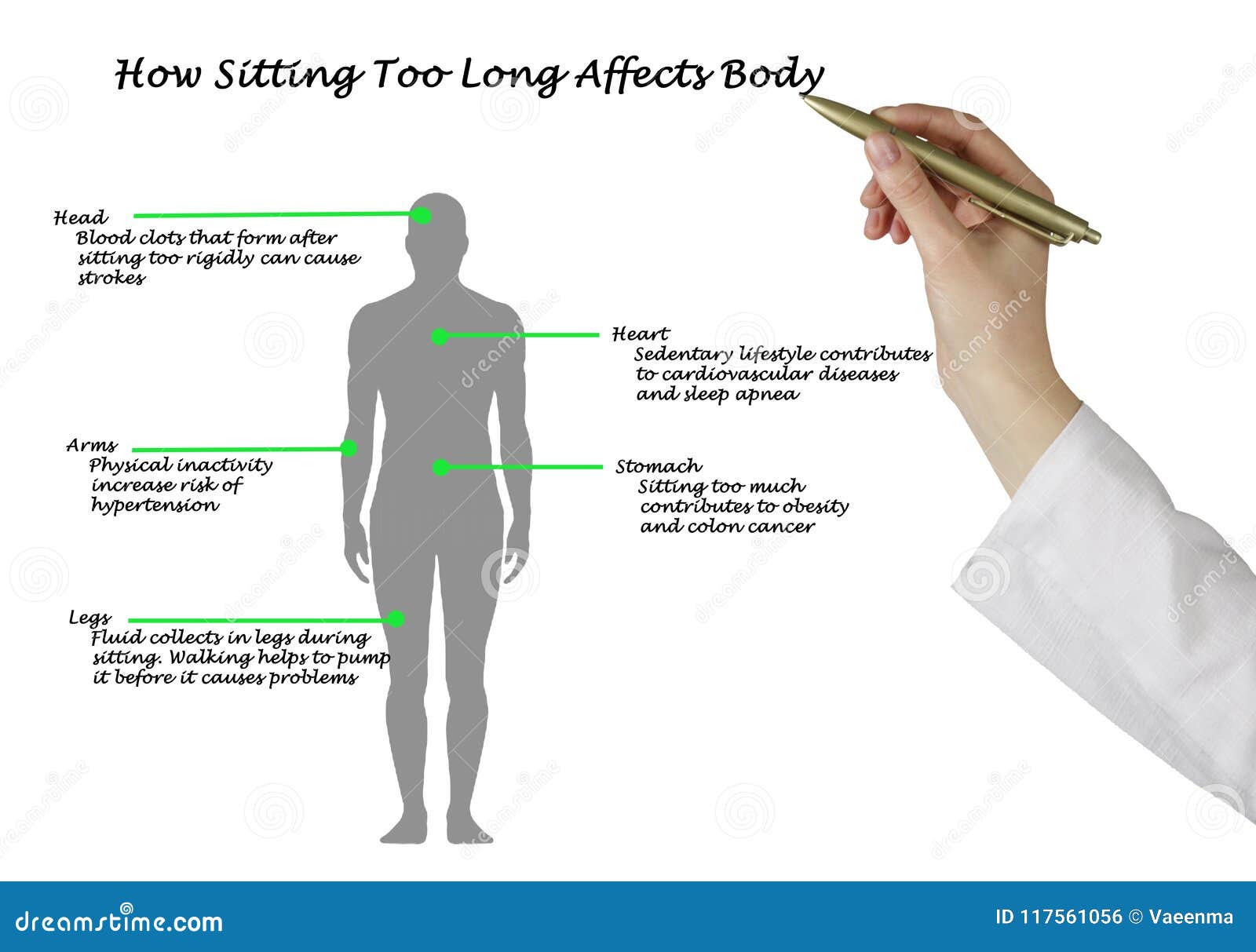 Too Sedentary Photos - Free & Royalty-Free Stock Photos from Dreamstime