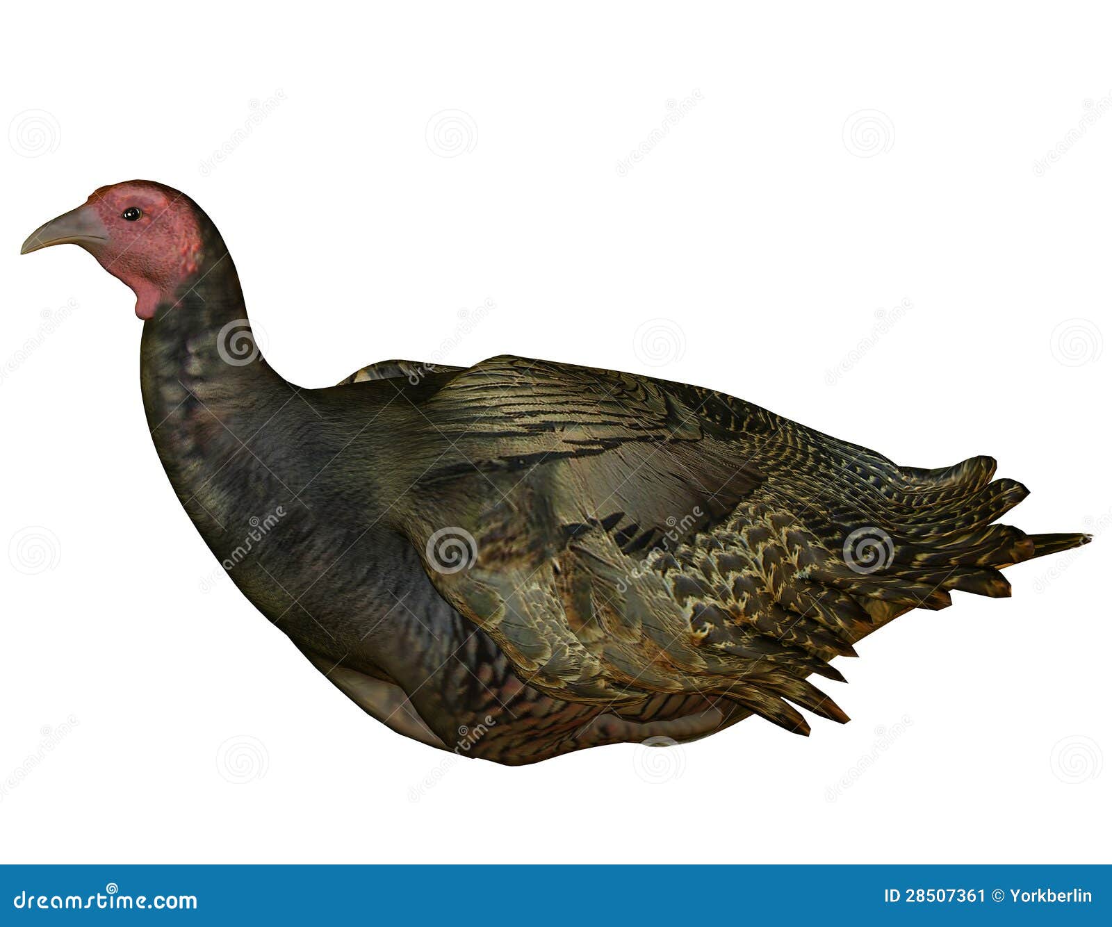 Sitting turkey stock illustration. Illustration of america - 28507361