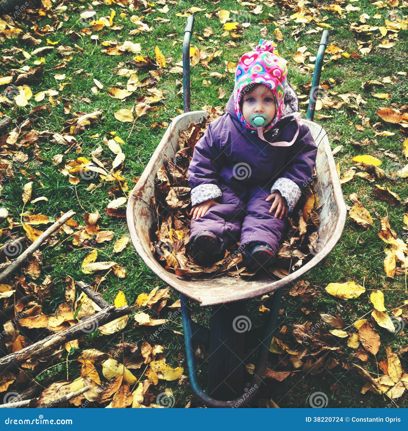 Sitting in wheelbarrow stock photo. Image of outdoors - 38220724