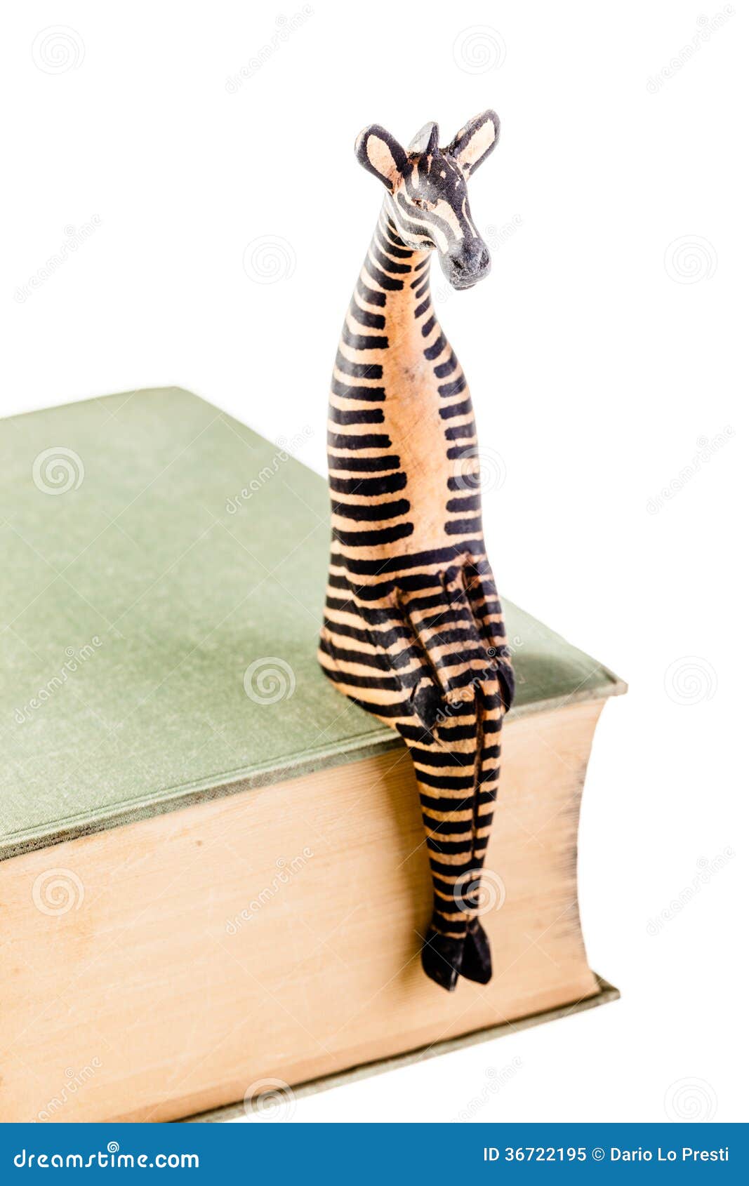 Sitting zebra stock image. Image of carving, library - 36722195