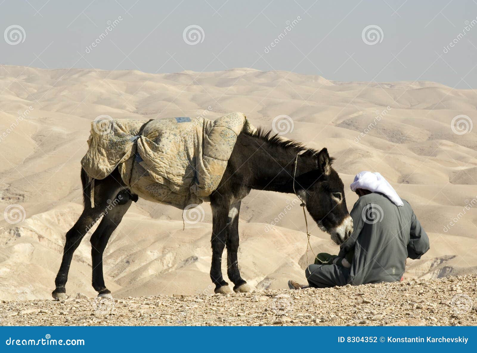 Sitzender Beduine stockfoto. Bild von kopftuch, kultur - 8304352