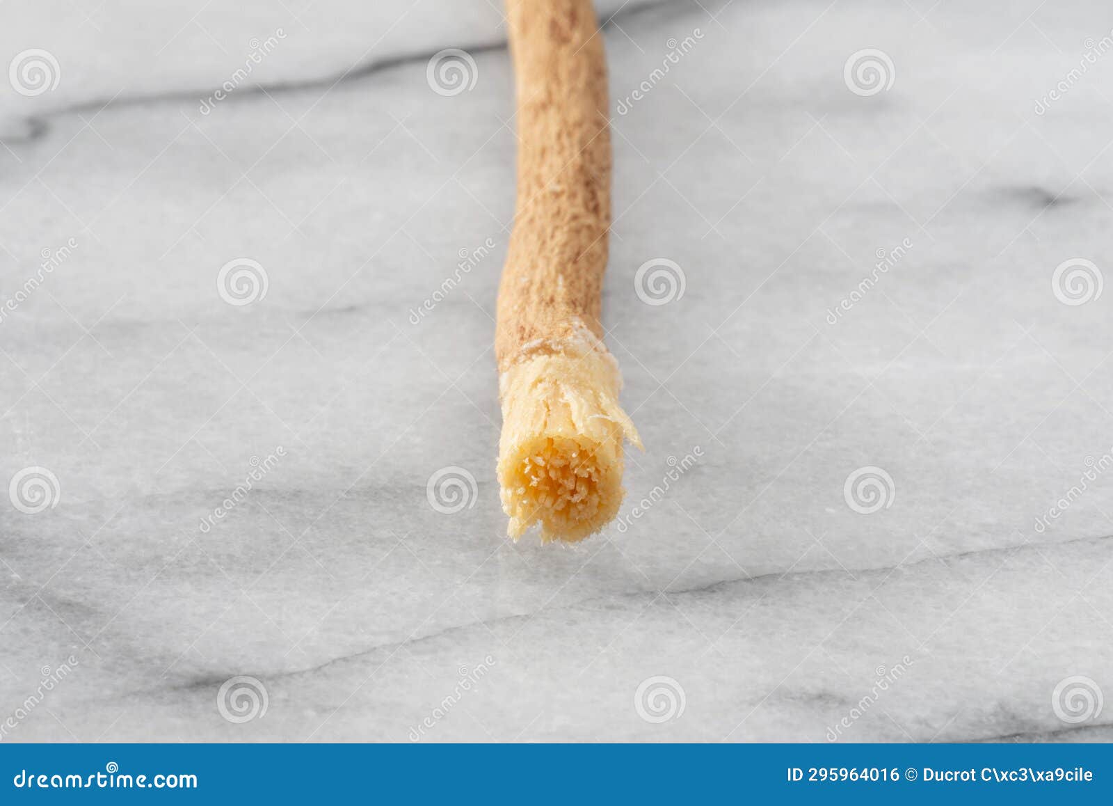 Siwak Stick on White Background Stock Photo - Image of alternative ...