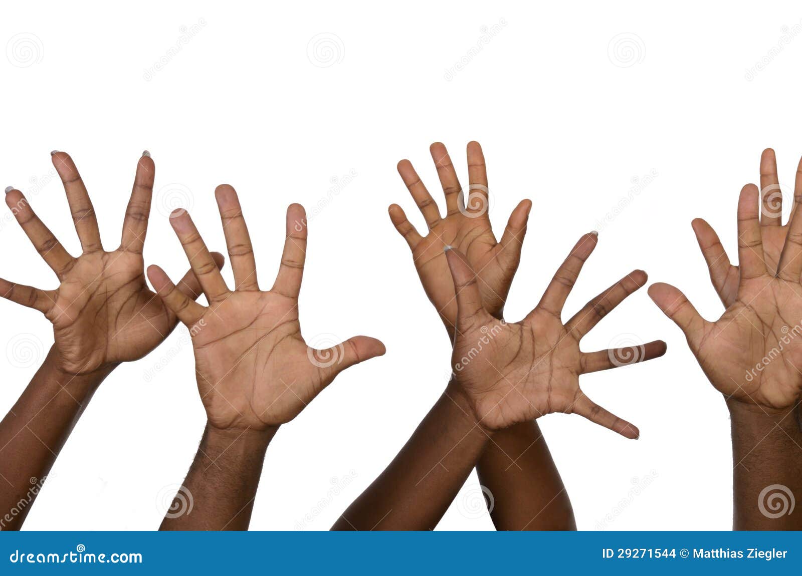 Black People Palms