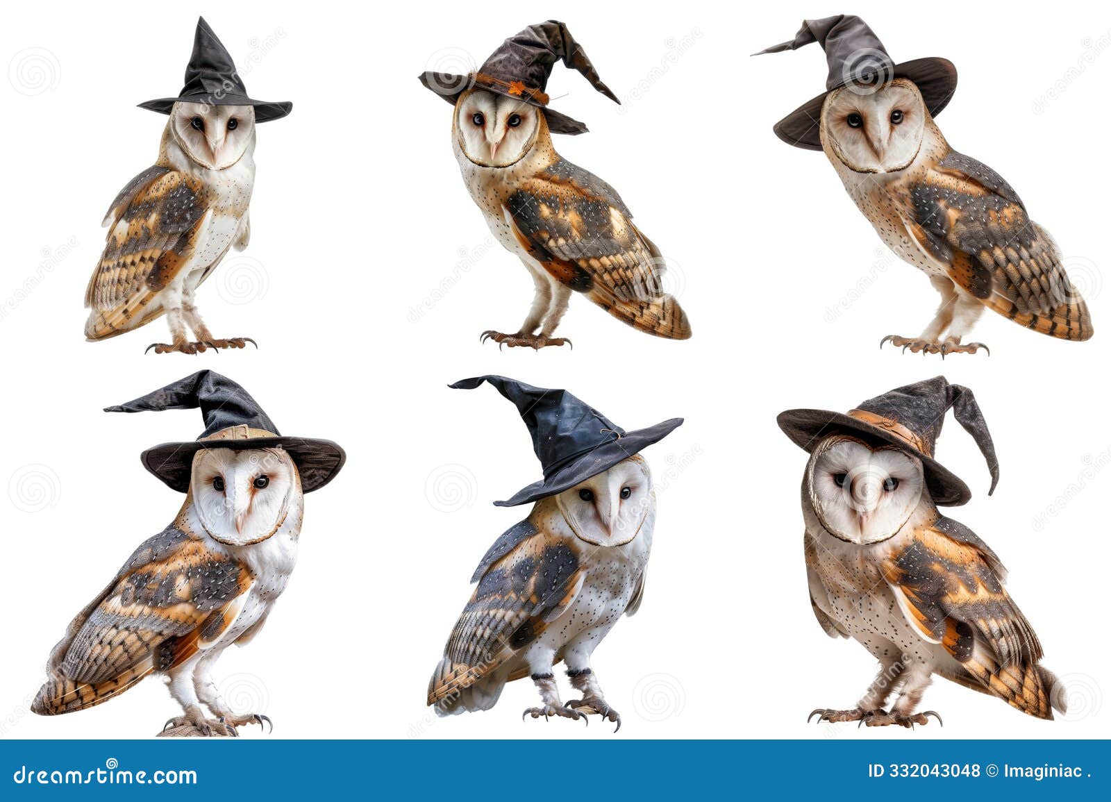 Six Barn Owls Wearing Witch Hats Stock Illustration - Illustration of ...