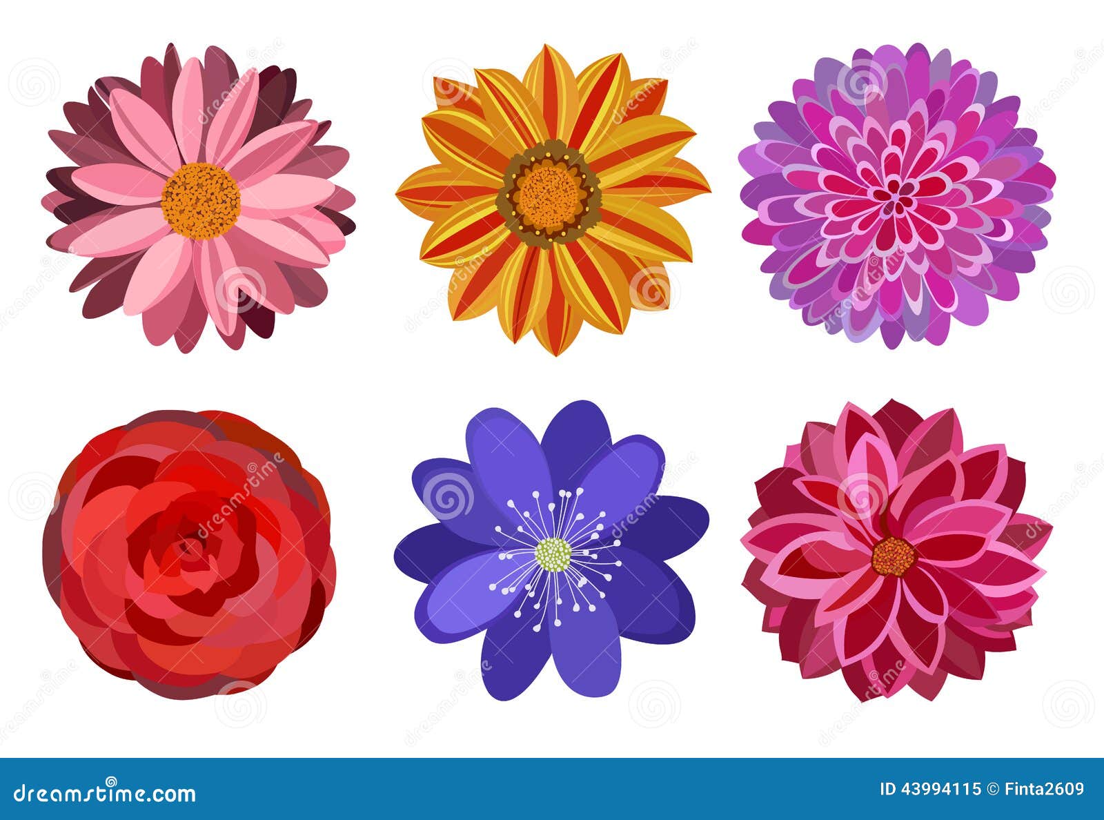 Six Beautiful Multi Colored Flowers Stock Vector - Illustration of ...