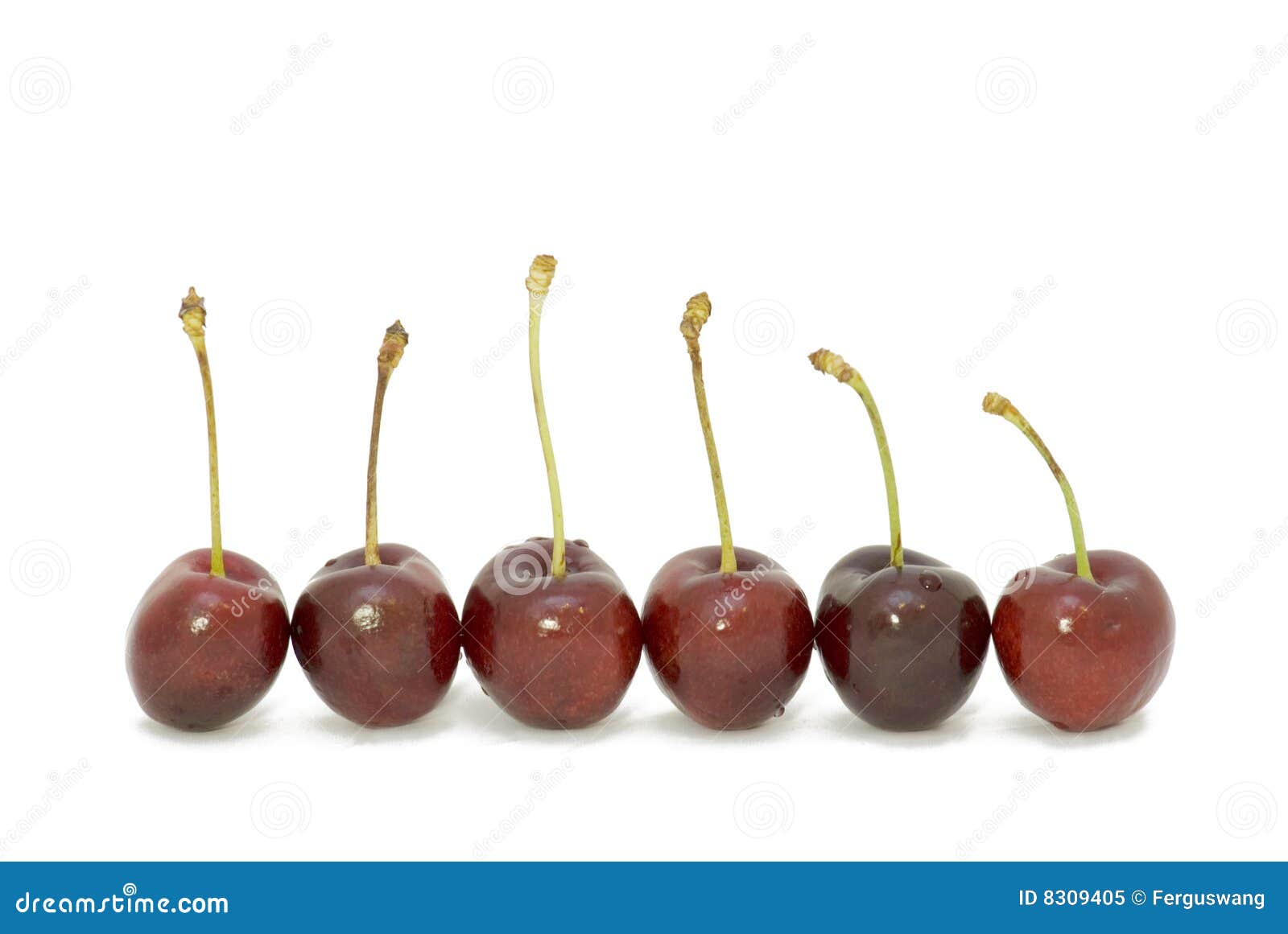 Six Cherries Picture. Image: 8309405