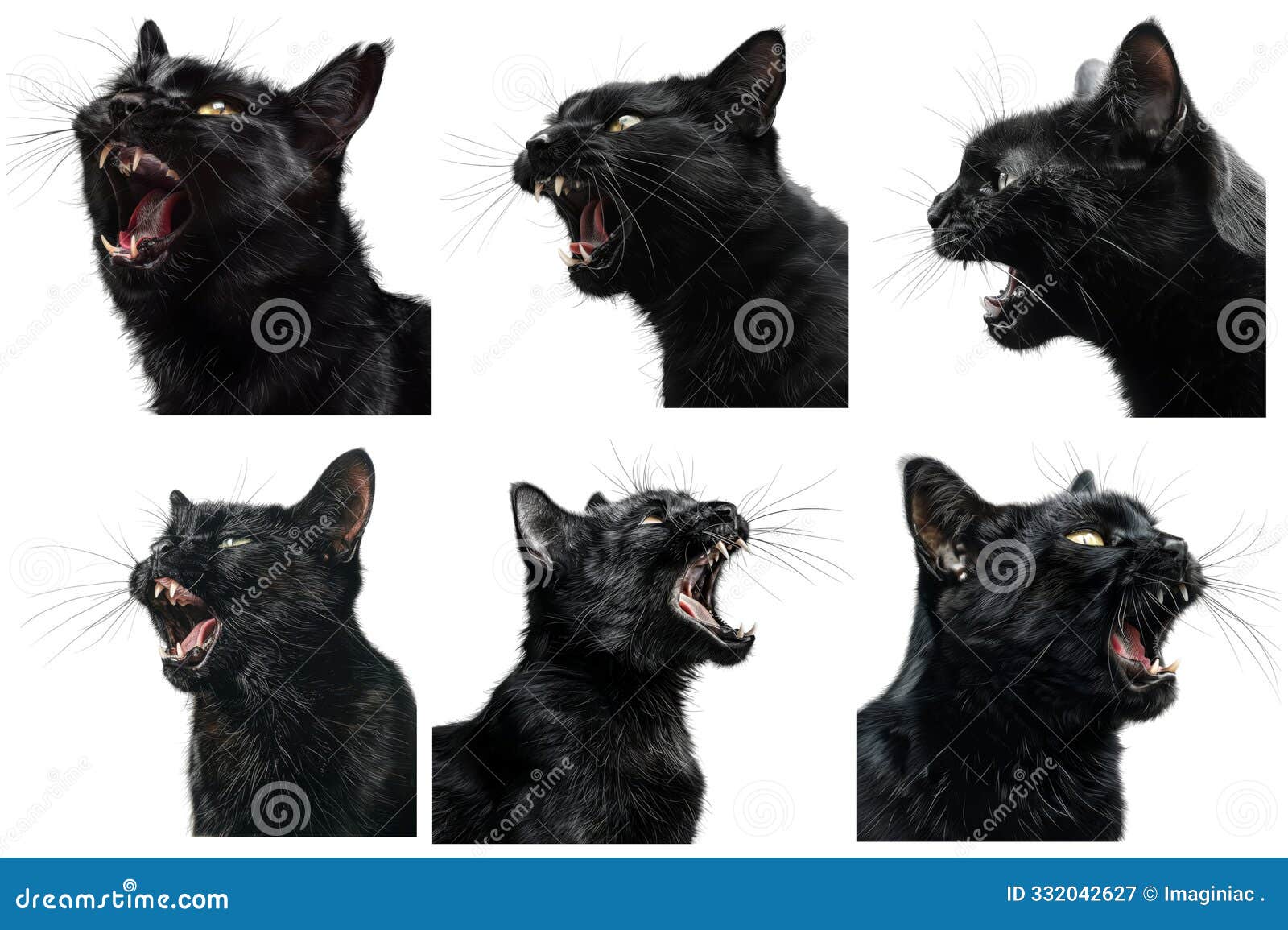 Six Close-Ups of a Black Cat with an Open Mouth and Sharp Teeth Stock ...