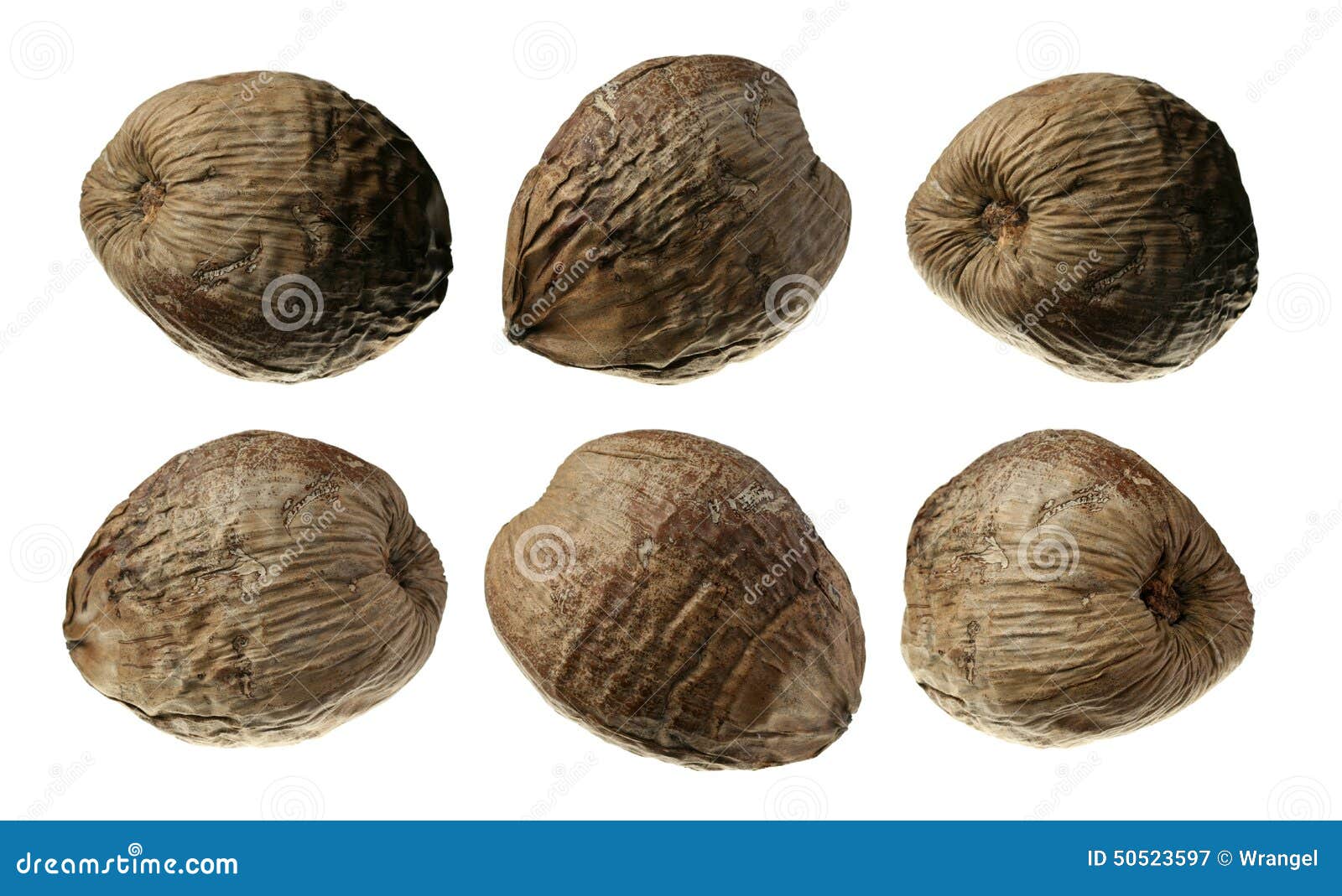 Six Coconuts Collection Isolated on White Stock Image - Image of coco ...