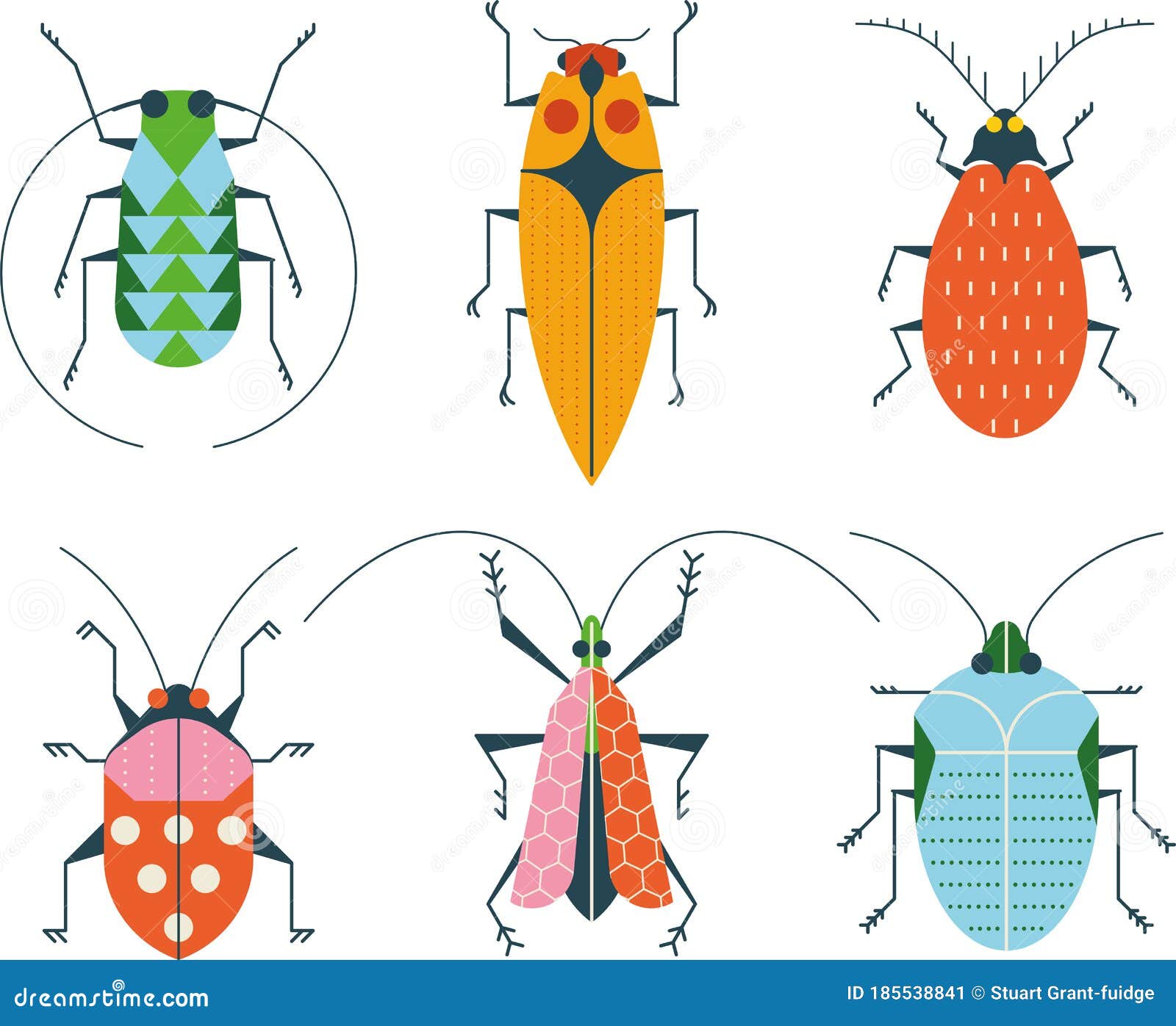Six Colourful Vector Insects Stock Vector - Illustration of grasshopper ...
