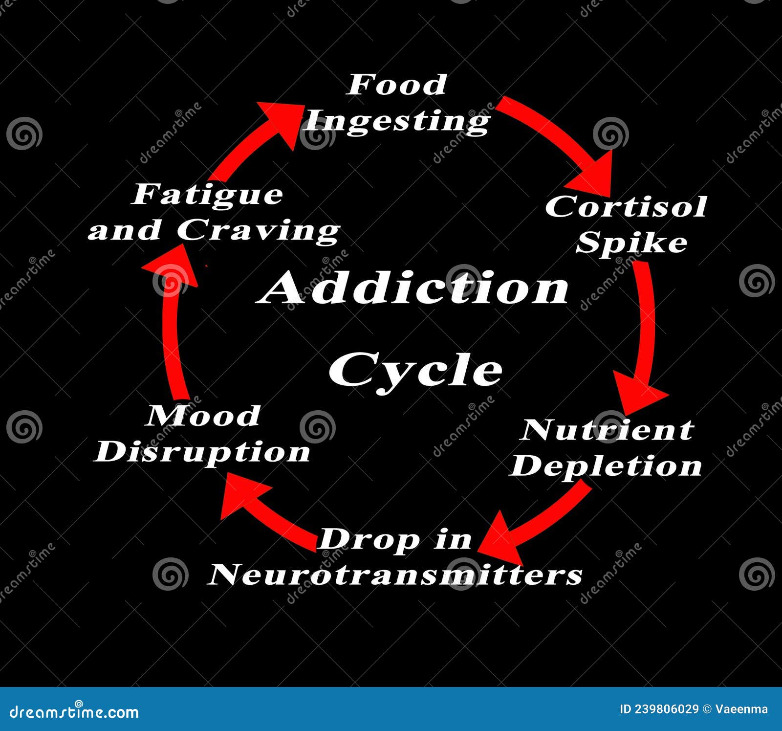 Components of Addiction Cycle Stock Image - Image of nutrient, food ...