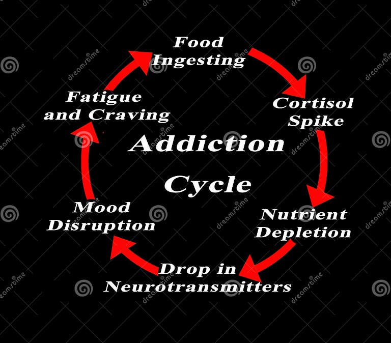 Components of Addiction Cycle Stock Image - Image of nutrient, food ...