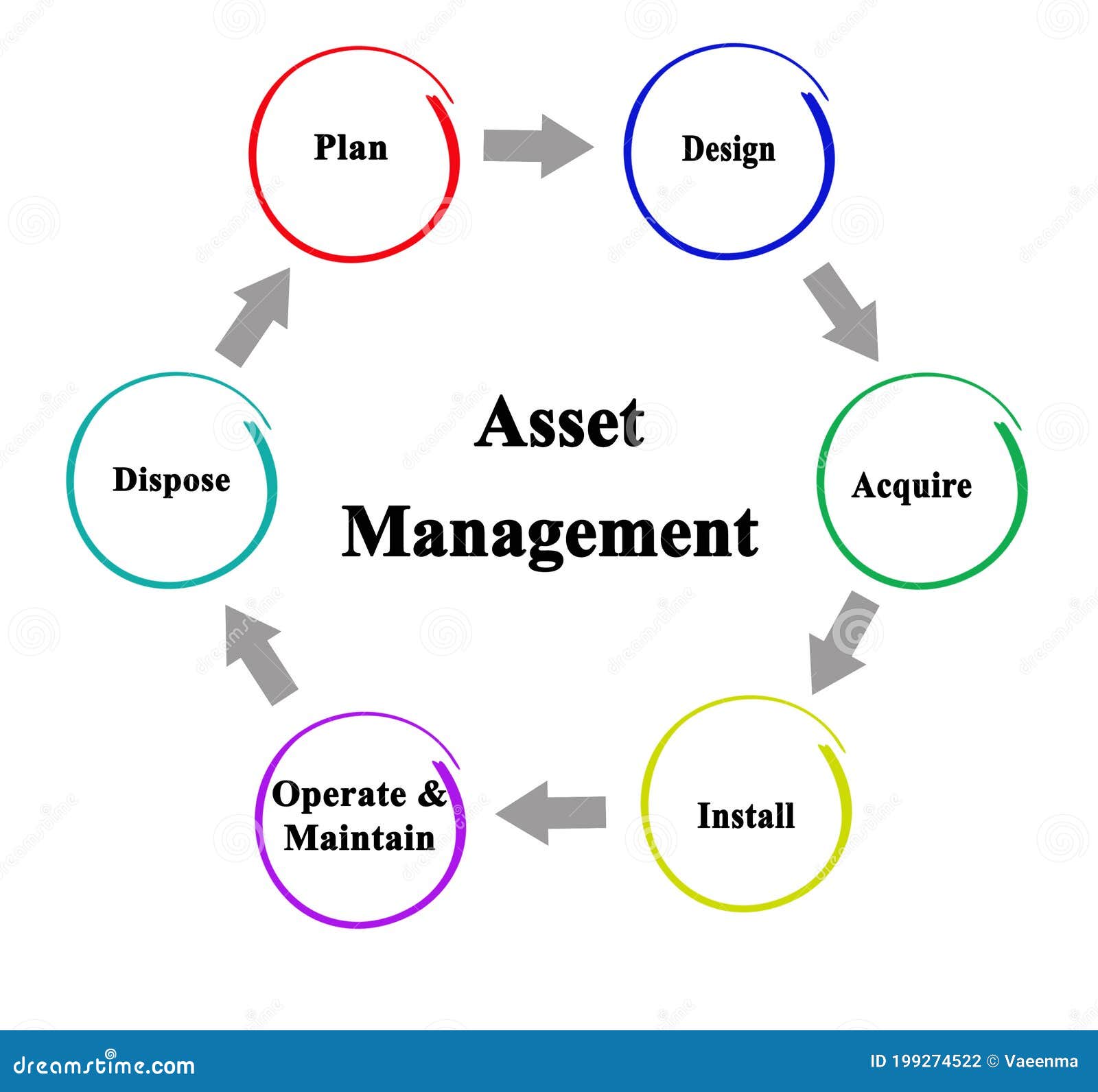 Components of Asset Management Stock Illustration - Illustration of ...