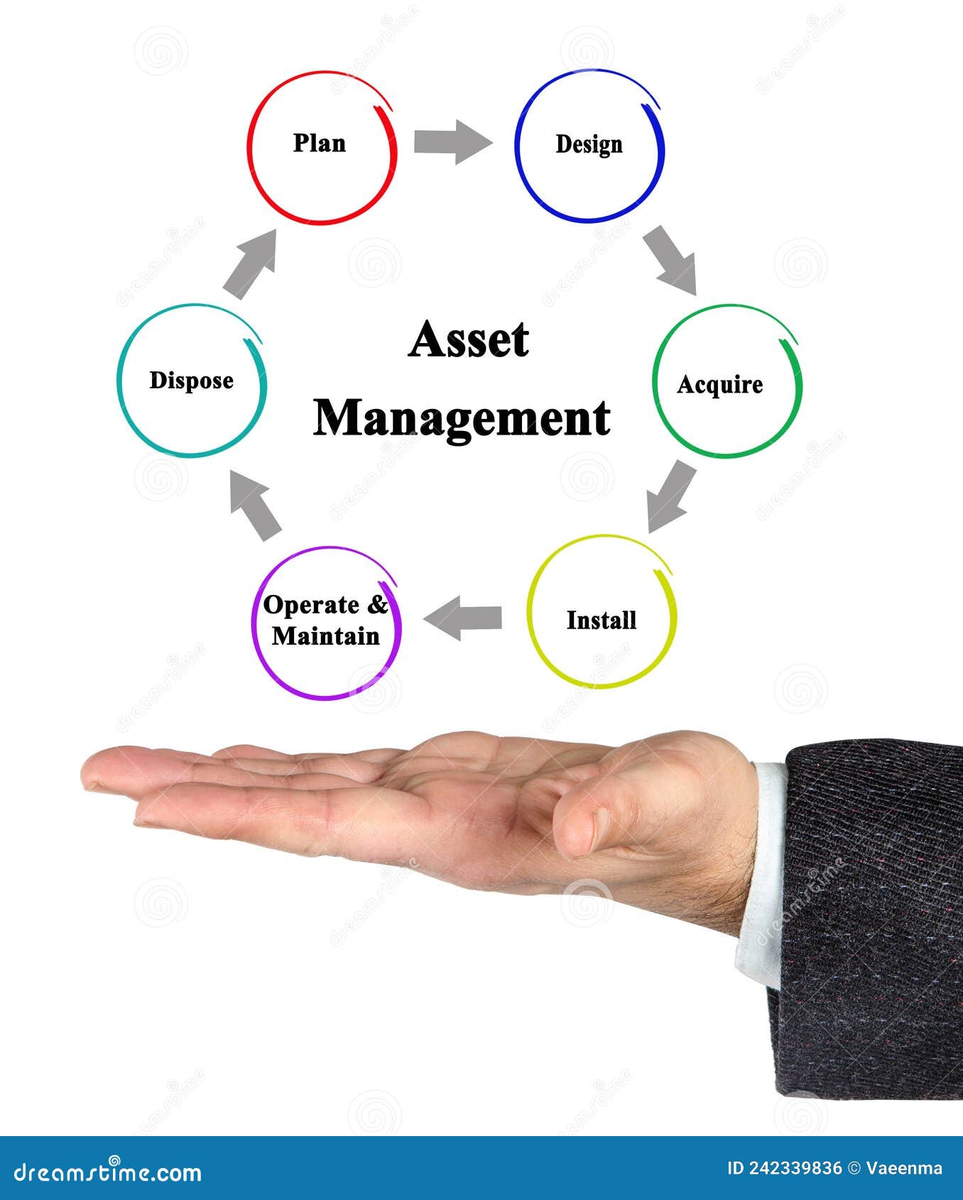 Components of Asset Management Stock Photo - Image of vertical, asset ...