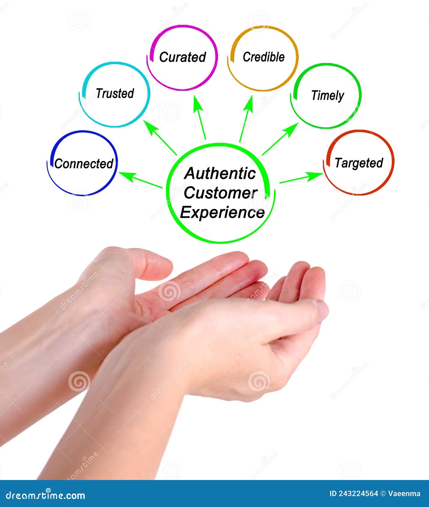 Components Of Customer Needs Analysis Stock Photography | CartoonDealer ...