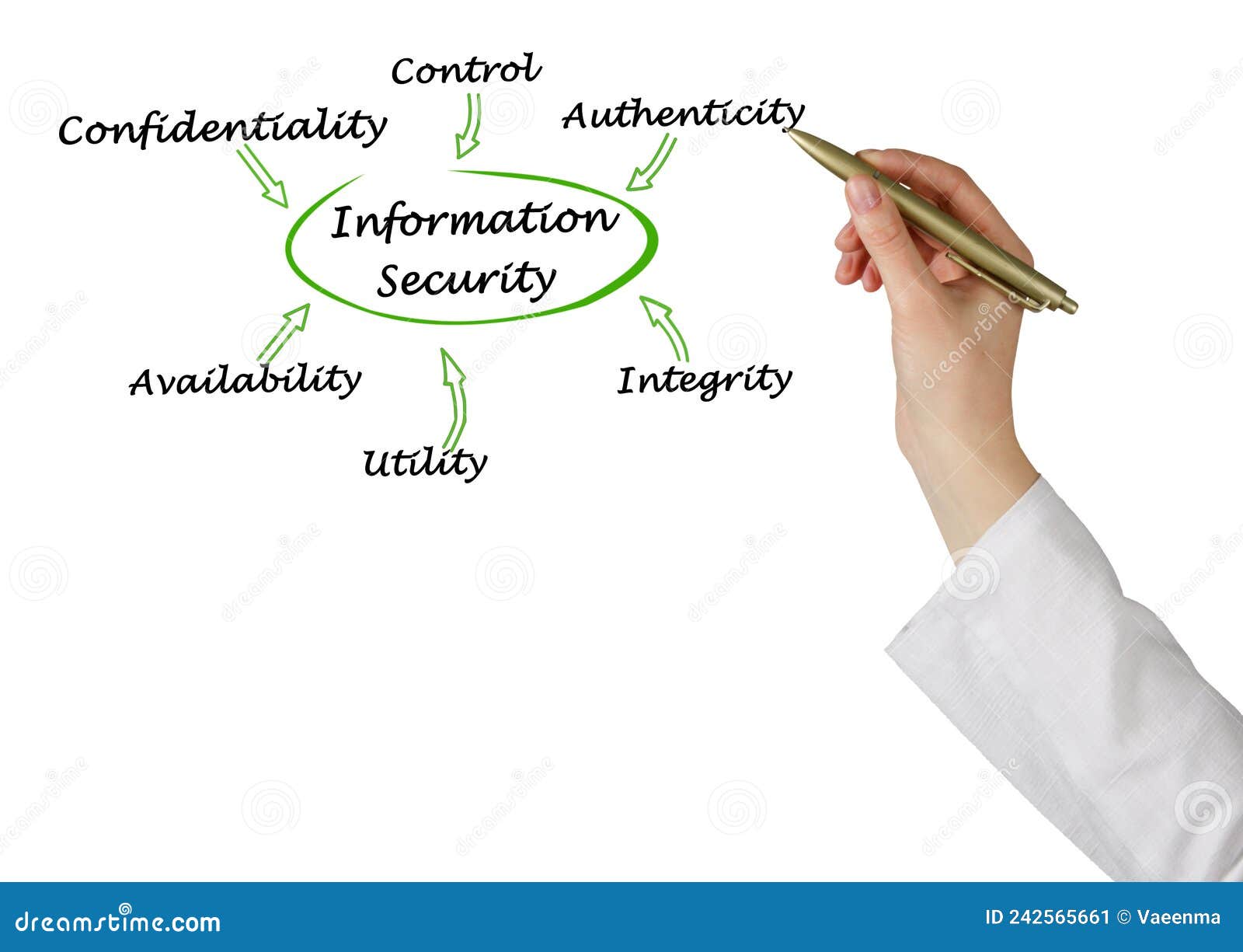 Components of Information Security Stock Illustration - Illustration of ...