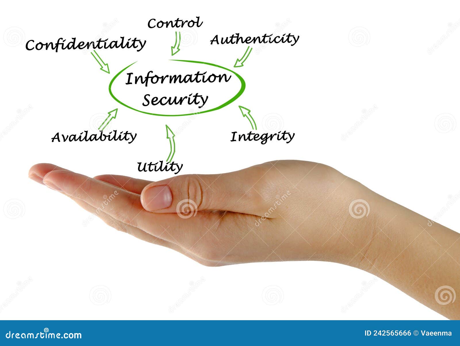 Components of Information Security Stock Illustration - Illustration of ...