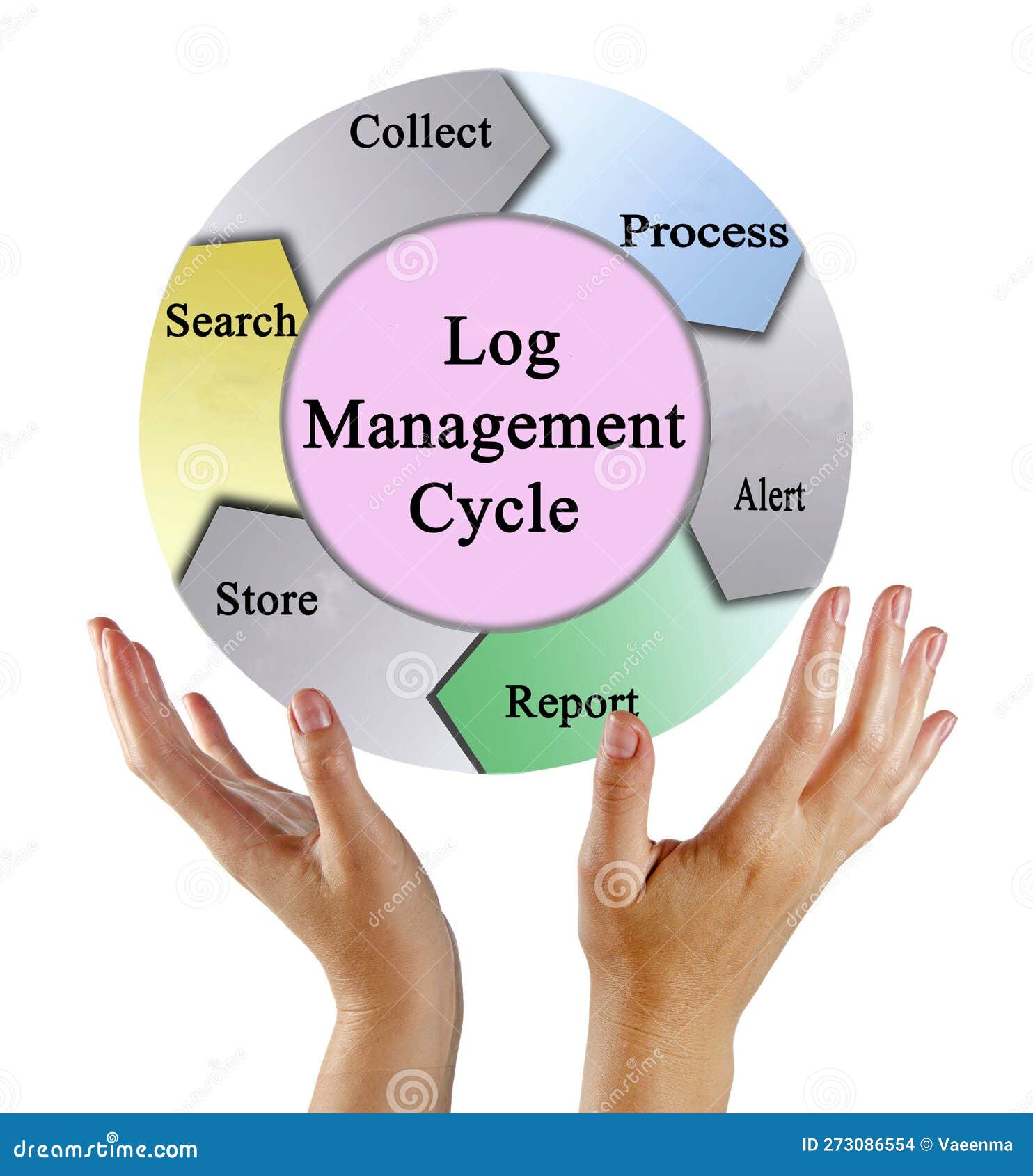 Components of Log Management Stock Photo - Image of palm, cycle: 273086554