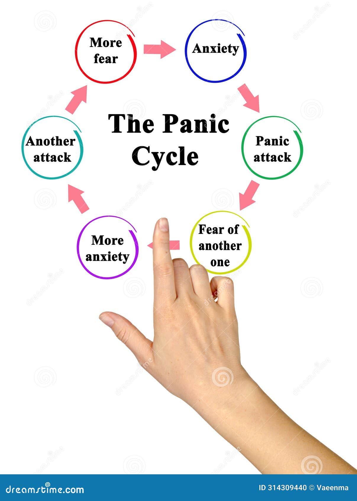 Components of Panic Cycle stock photo. Image of pointing - 314309440