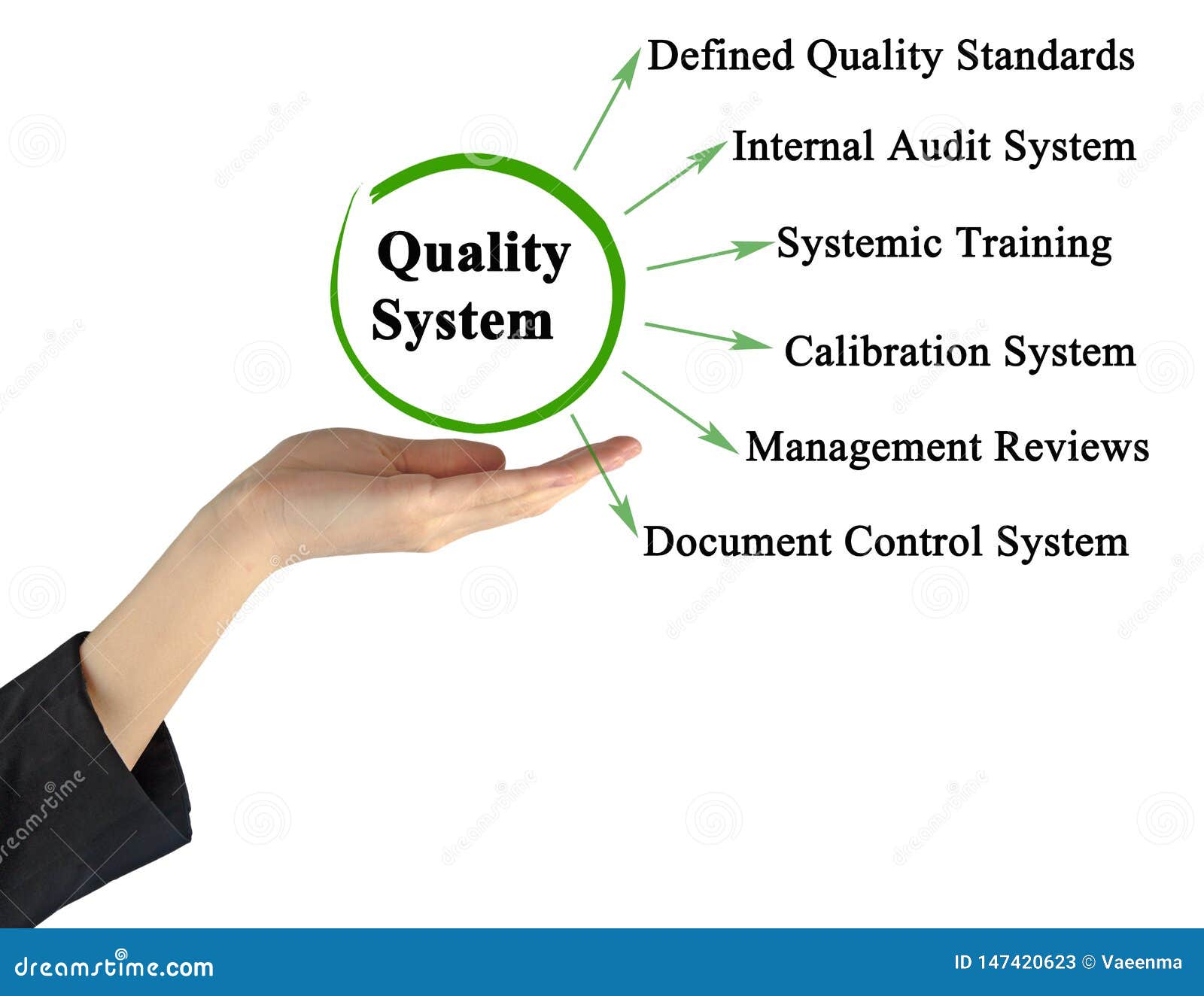 Components of Quality System Stock Image - Image of woman, document ...