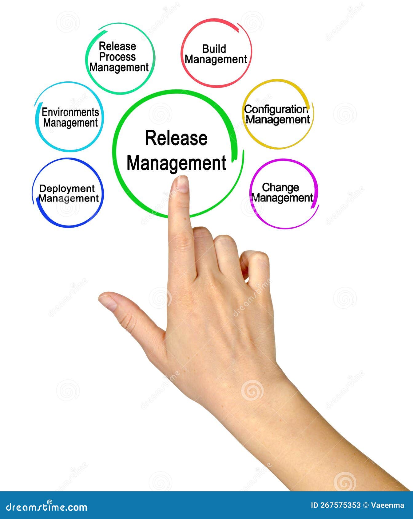 Components of Release Manager Stock Image - Image of manager ...