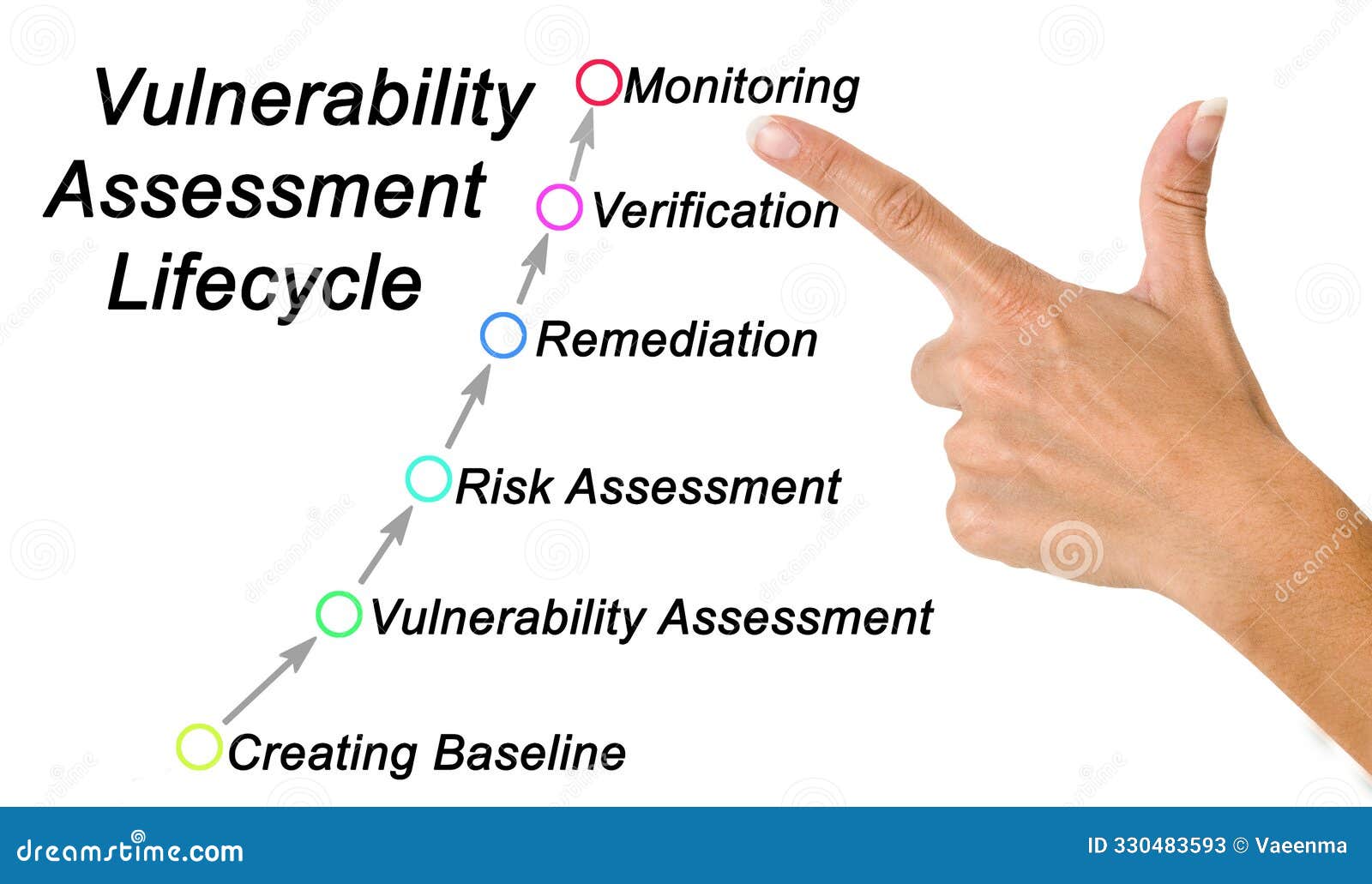 Components of Vulnerability Assessment Stock Image - Image of woman ...