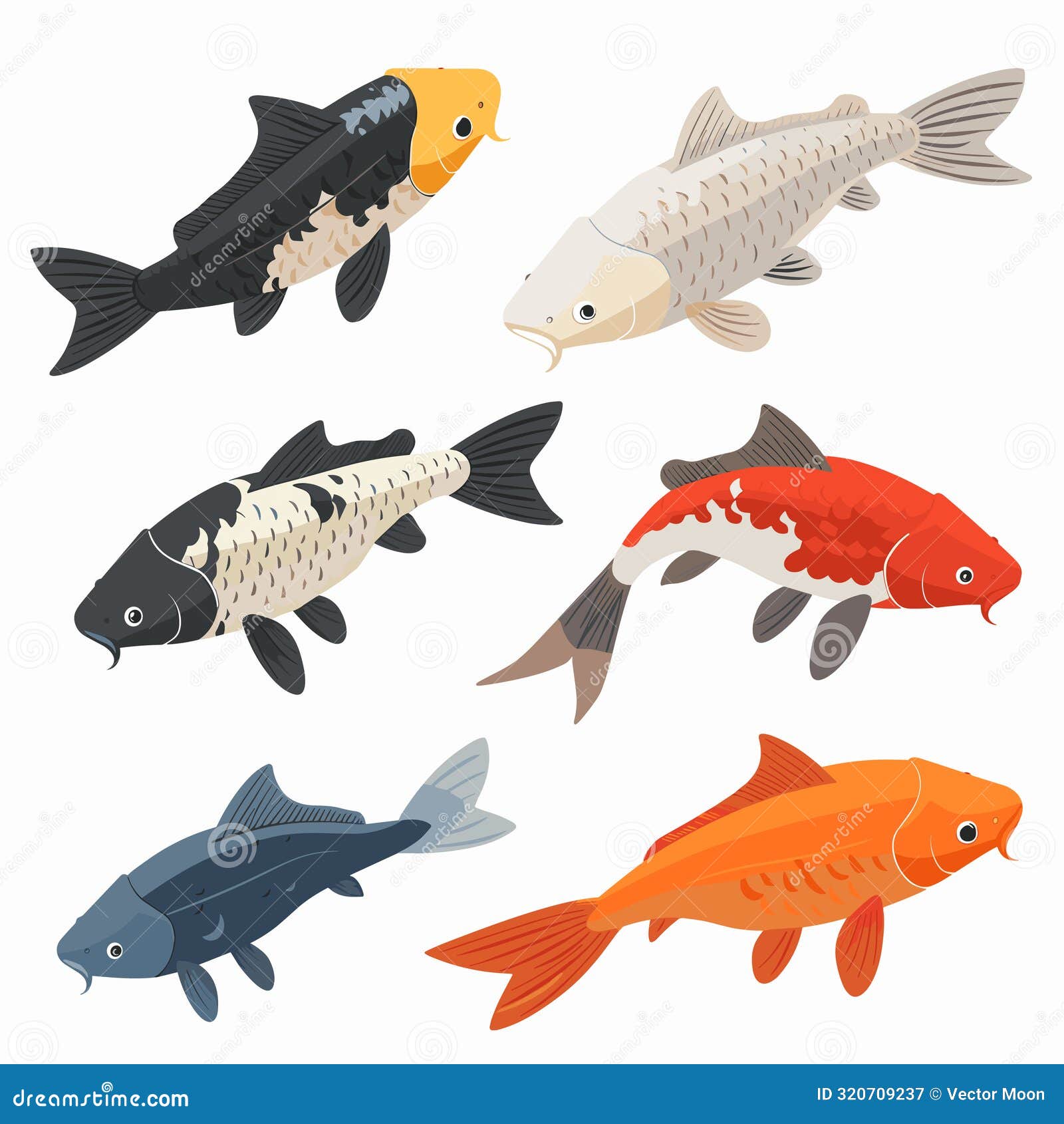 Six Different Koi Fish Vector Illustrations Isolated White Background ...