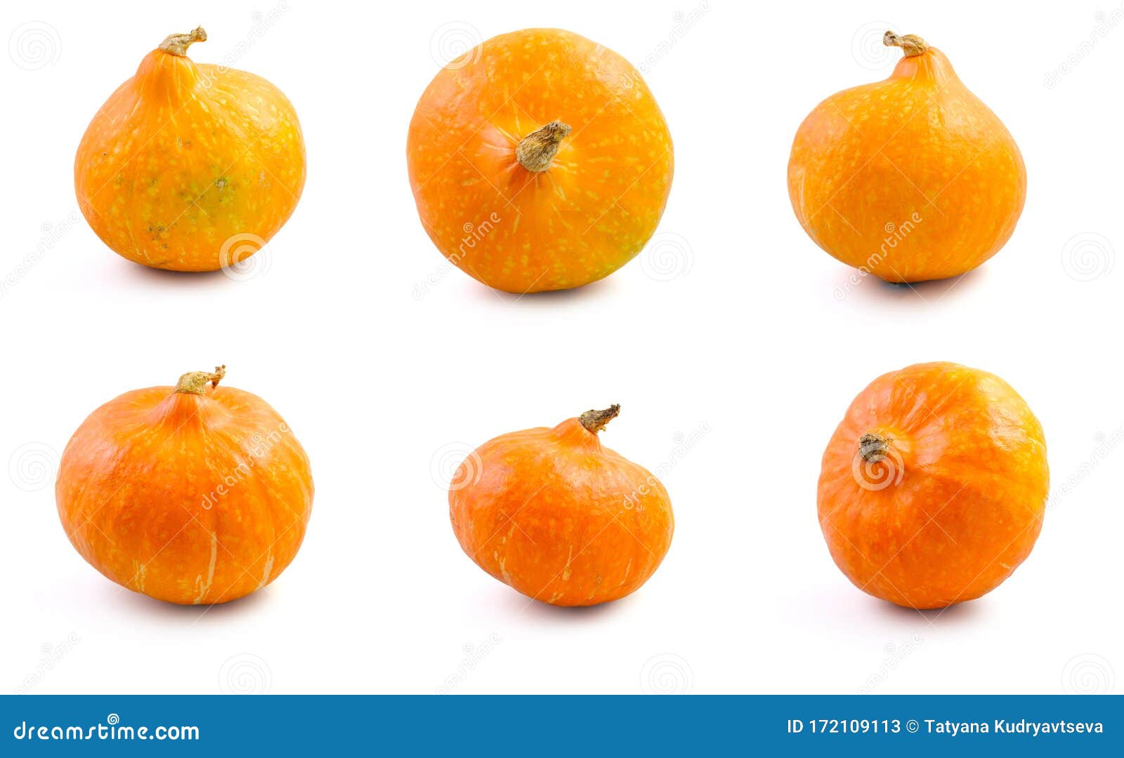 Six Different Pumpkins at Various Angles on White Background Stock ...