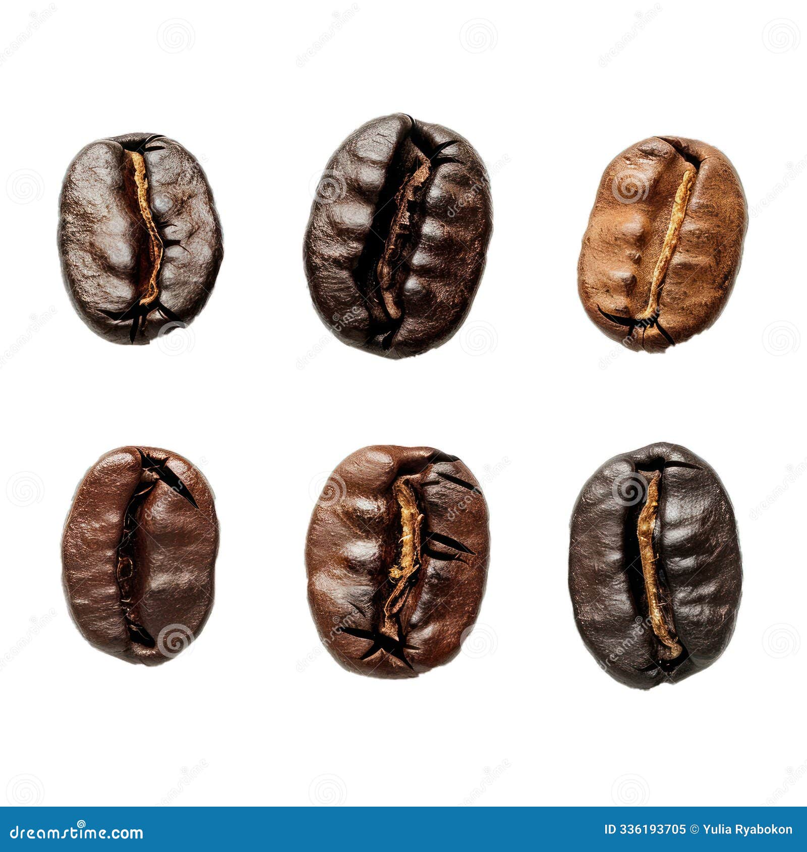 Different Roasted Coffee Beans. Various Stages Of Roasting Cartoon ...