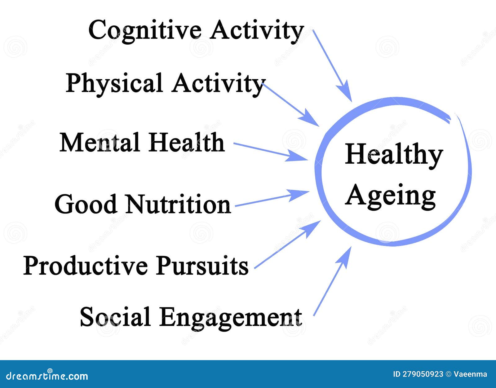 Drivers Of Healthy Ageing Stock Image | CartoonDealer.com #279050923