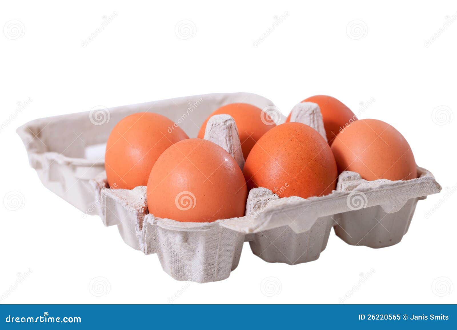 Six eggs. stock image. Image of protein, white, shell - 26220565