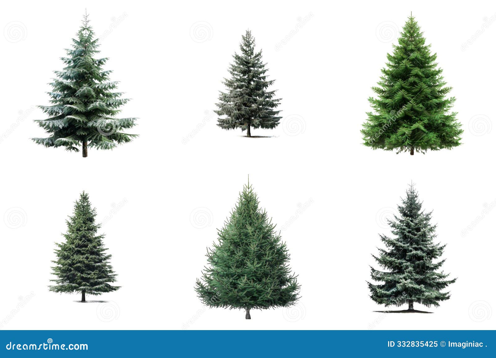 Six Evergreen Trees Isolated on a Transparent Background Stock Image ...