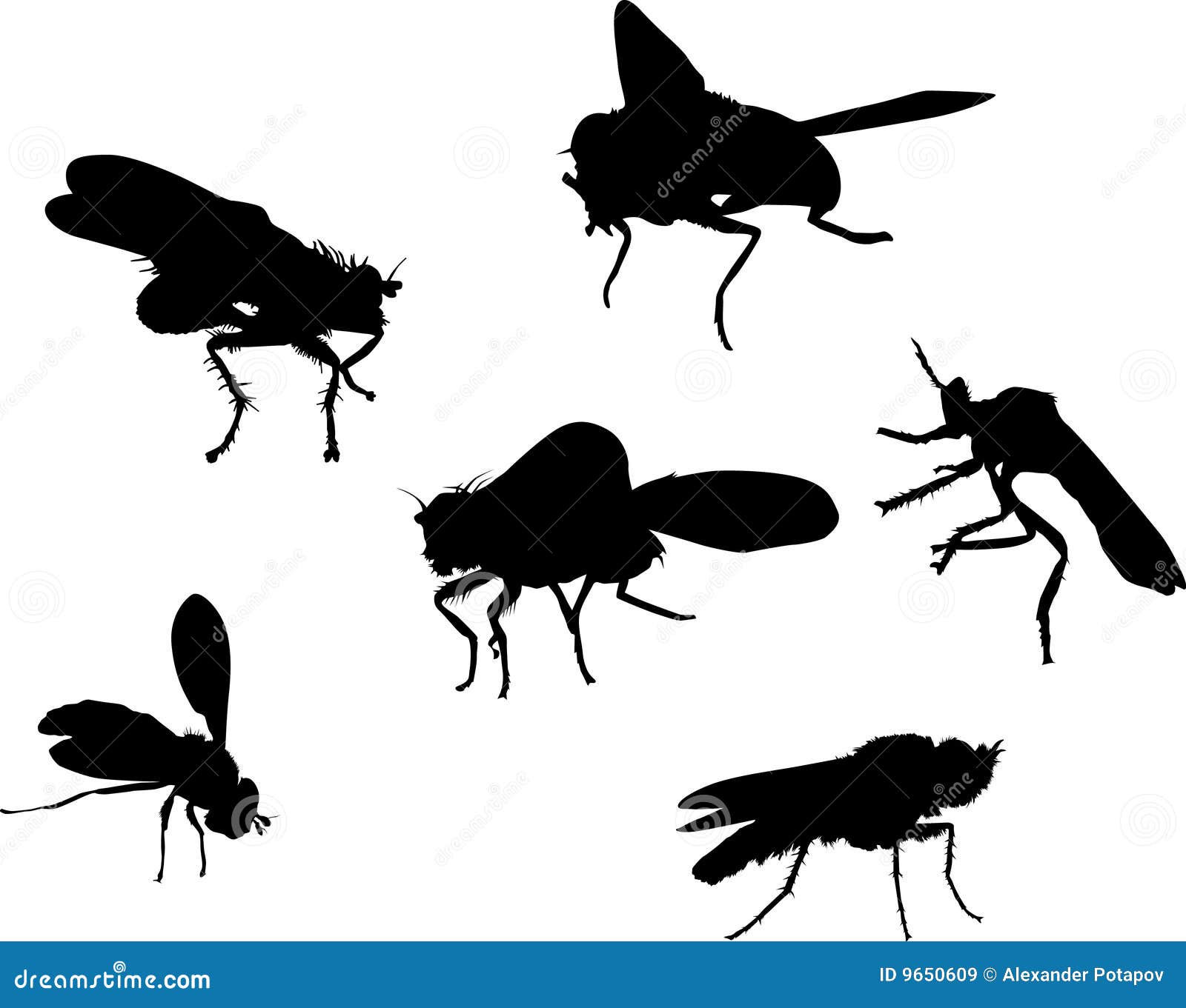 Six fly silhouettes stock illustration. Illustration of isolated - 9650609