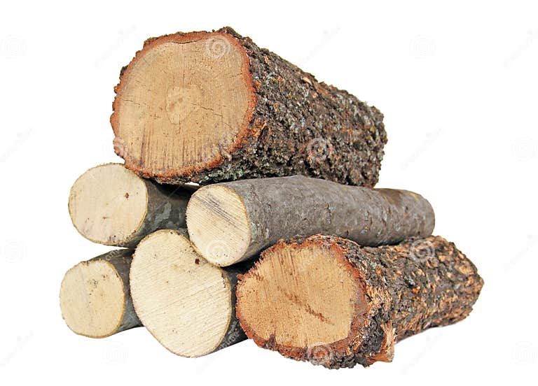 Six logs stock image. Image of wood, timber, closeup - 21508569