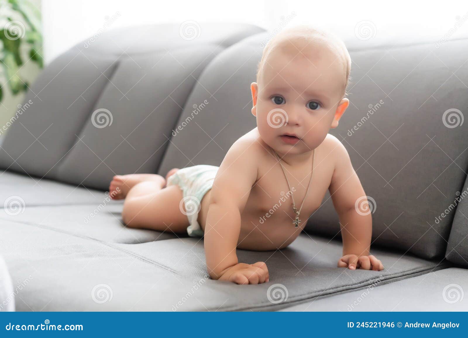 The Six-month-old Kid. Newborn 6 Months. Stock Photo - Image of baby ...