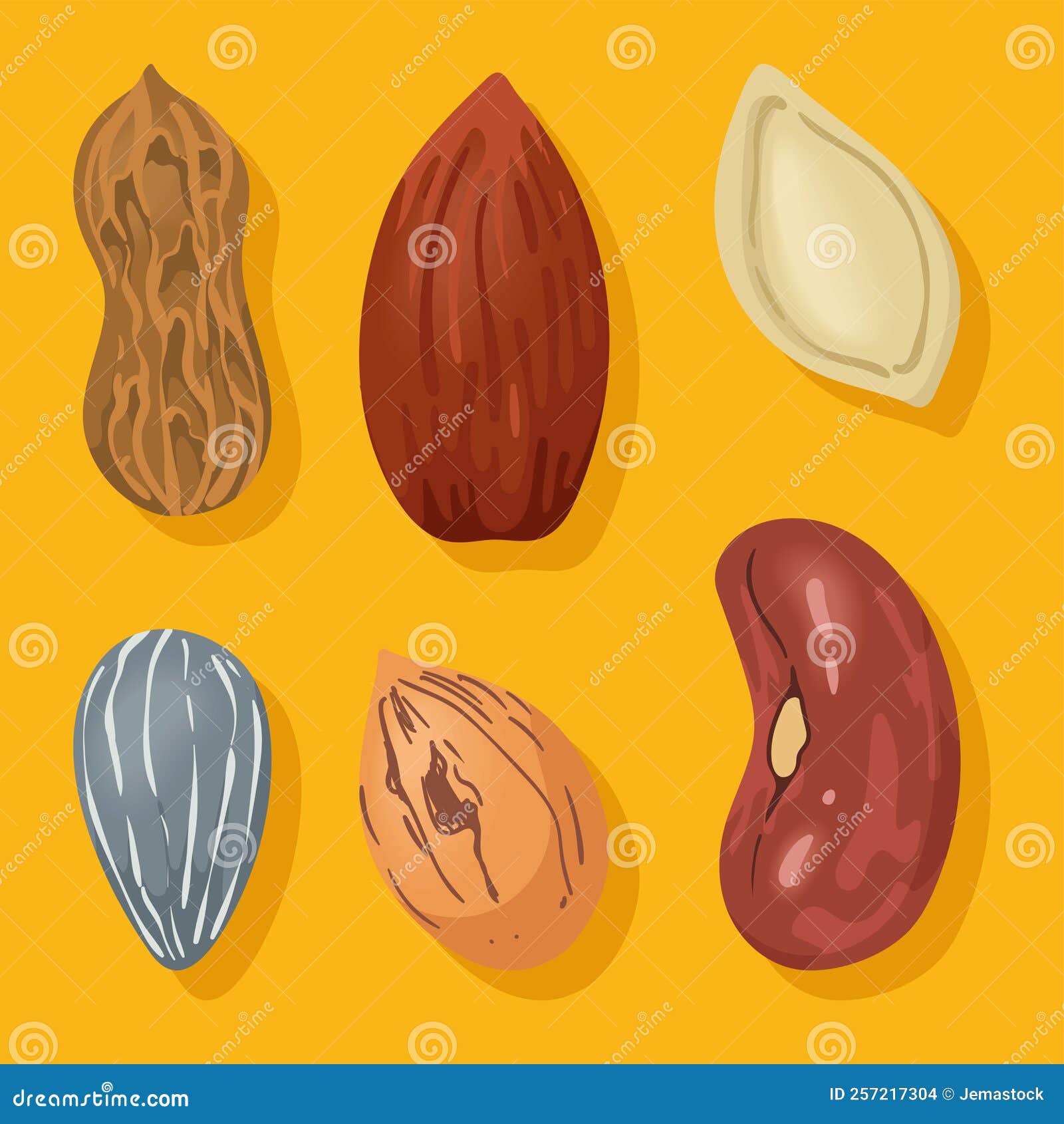 Six nuts snacks icons stock vector. Illustration of nature - 257217304