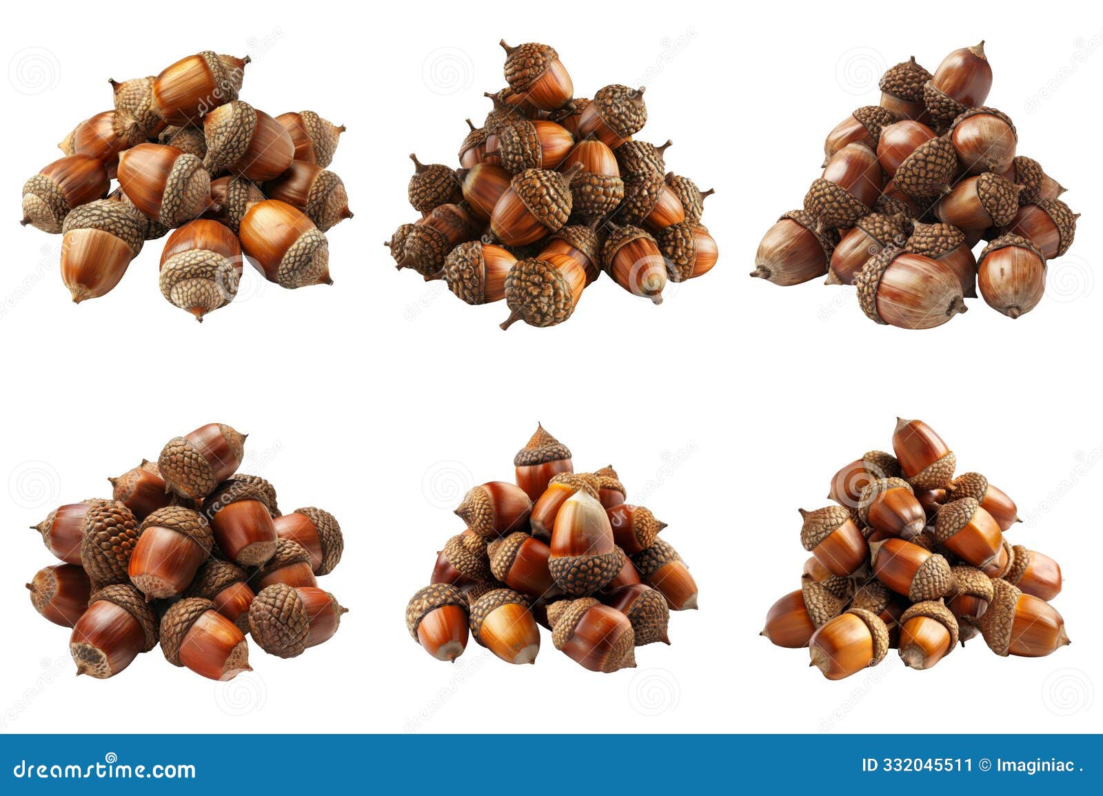 Six Piles of Brown Acorns Isolated on White Background Stock ...
