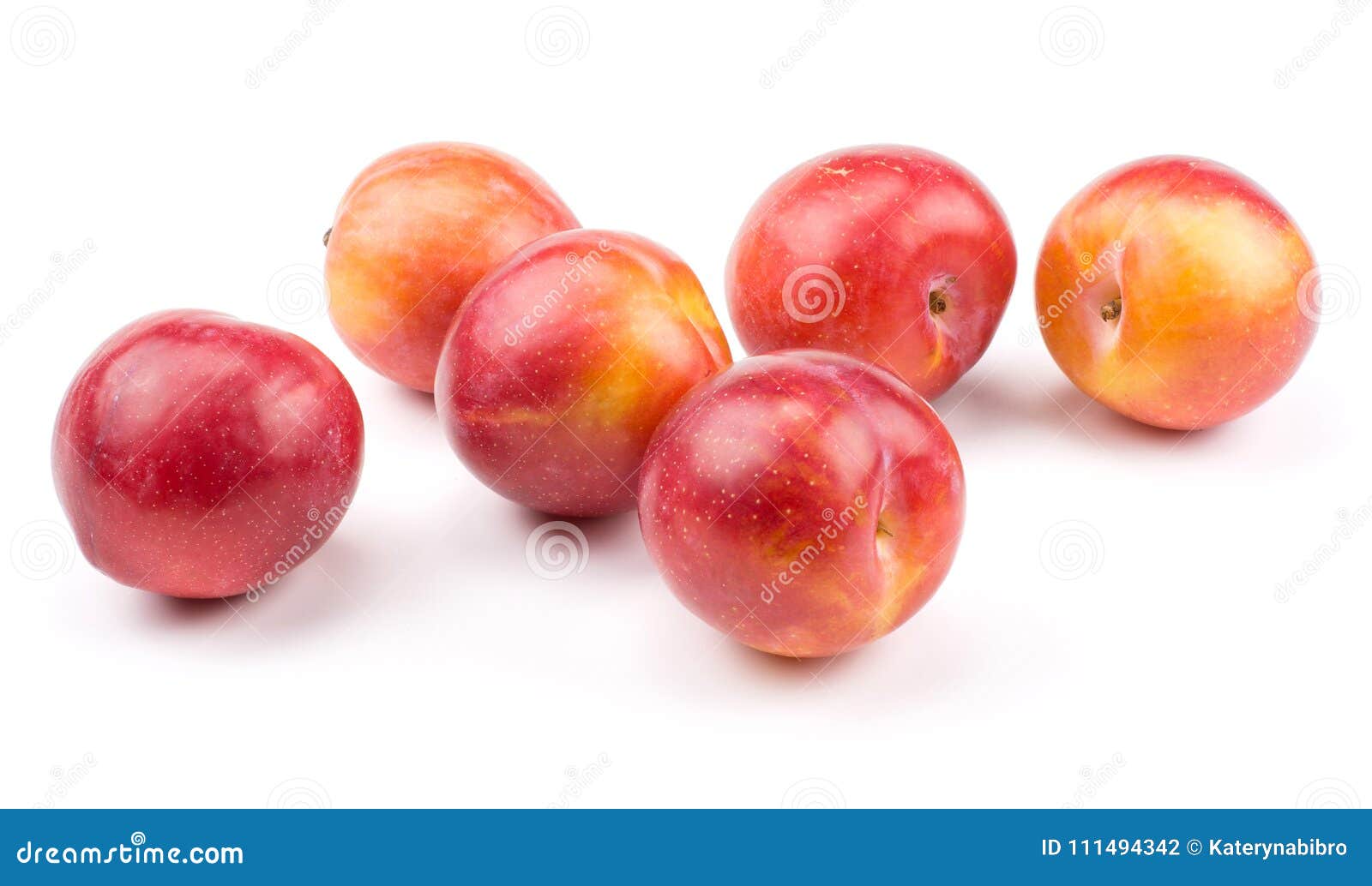 Fresh Red Plum Isolated on White Stock Photo - Image of oval, closeup ...