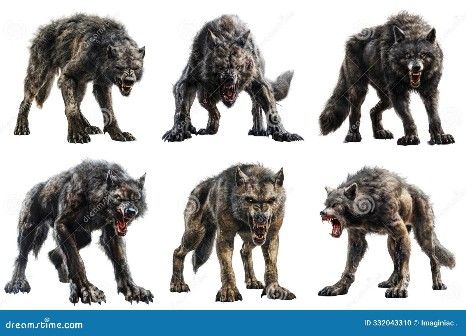 Six Rendered Images of a Growling Gray Wolf Stock Illustration ...