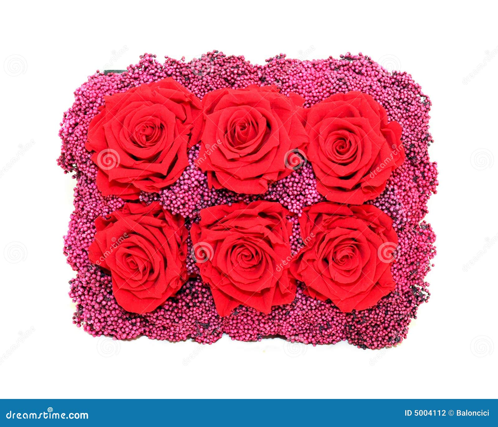 Six Roses Picture. Image: 5004112