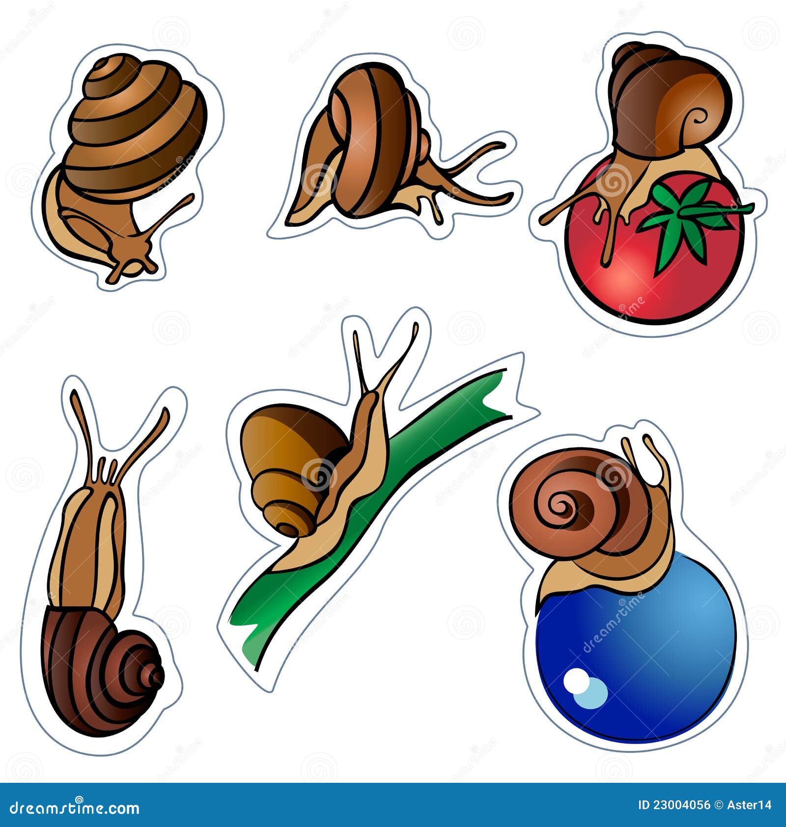 Snails Slugs Anatomy. Snail Body Structure Diagram. Internal And ... Snails Slugs Anatomy. Snail Body Structure Diagram. Internal And ...
