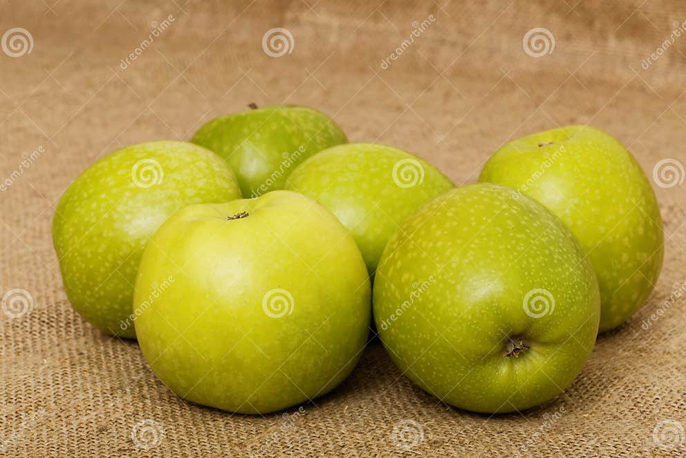 Six small green apple stock photo. Image of diet, gourmet - 51602632
