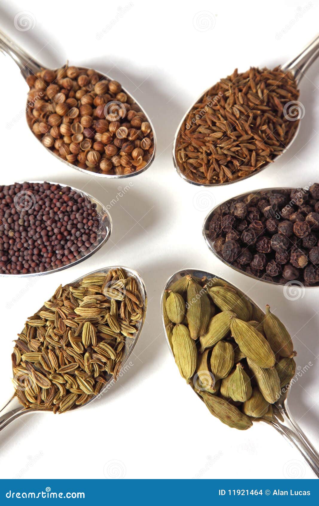 Six Spice Seeds stock photo. Image of teaspoon, spice - 11921464