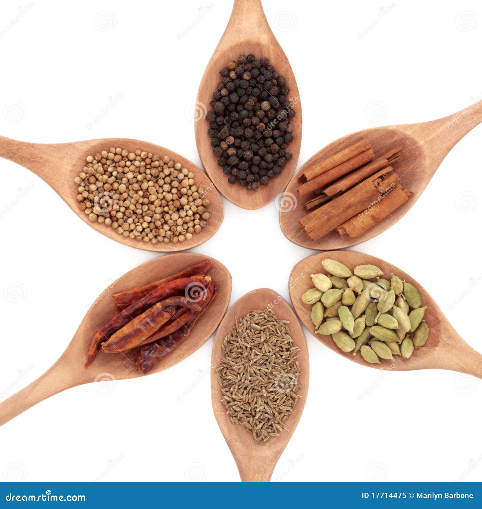 Six Spice Selection stock image. Image of spices, background - 17714475