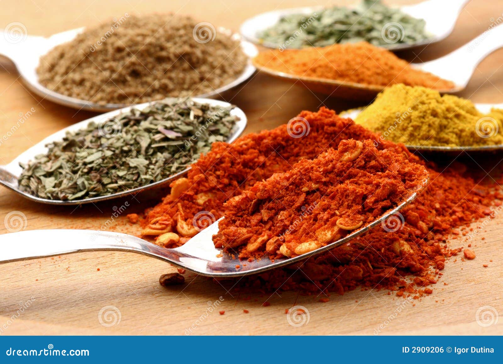 Six spices stock photo. Image of curry, flower, powder - 2909206